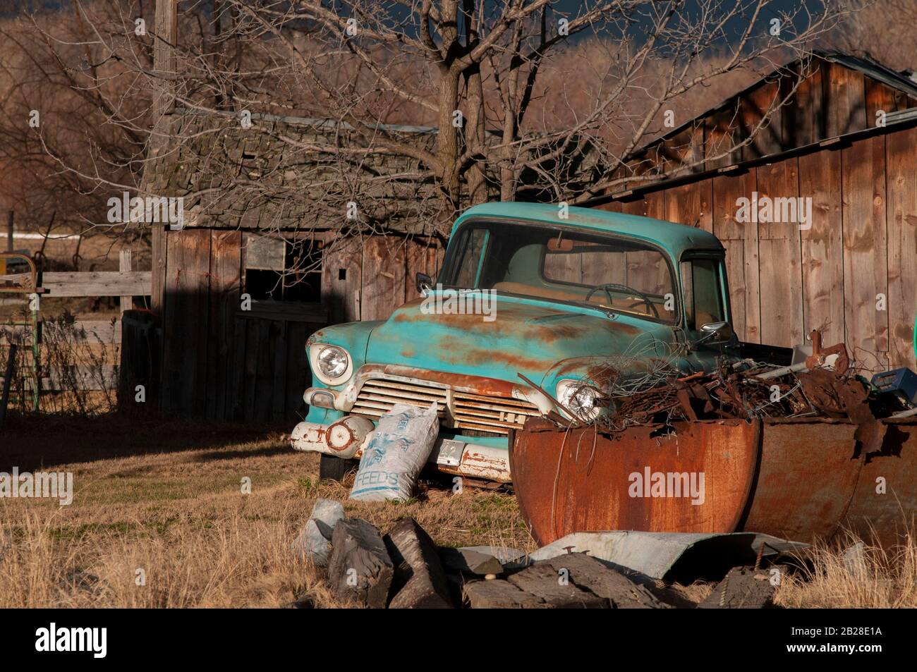 Antique warm front lit rusty light blue pickup truck sits near a rusty ...