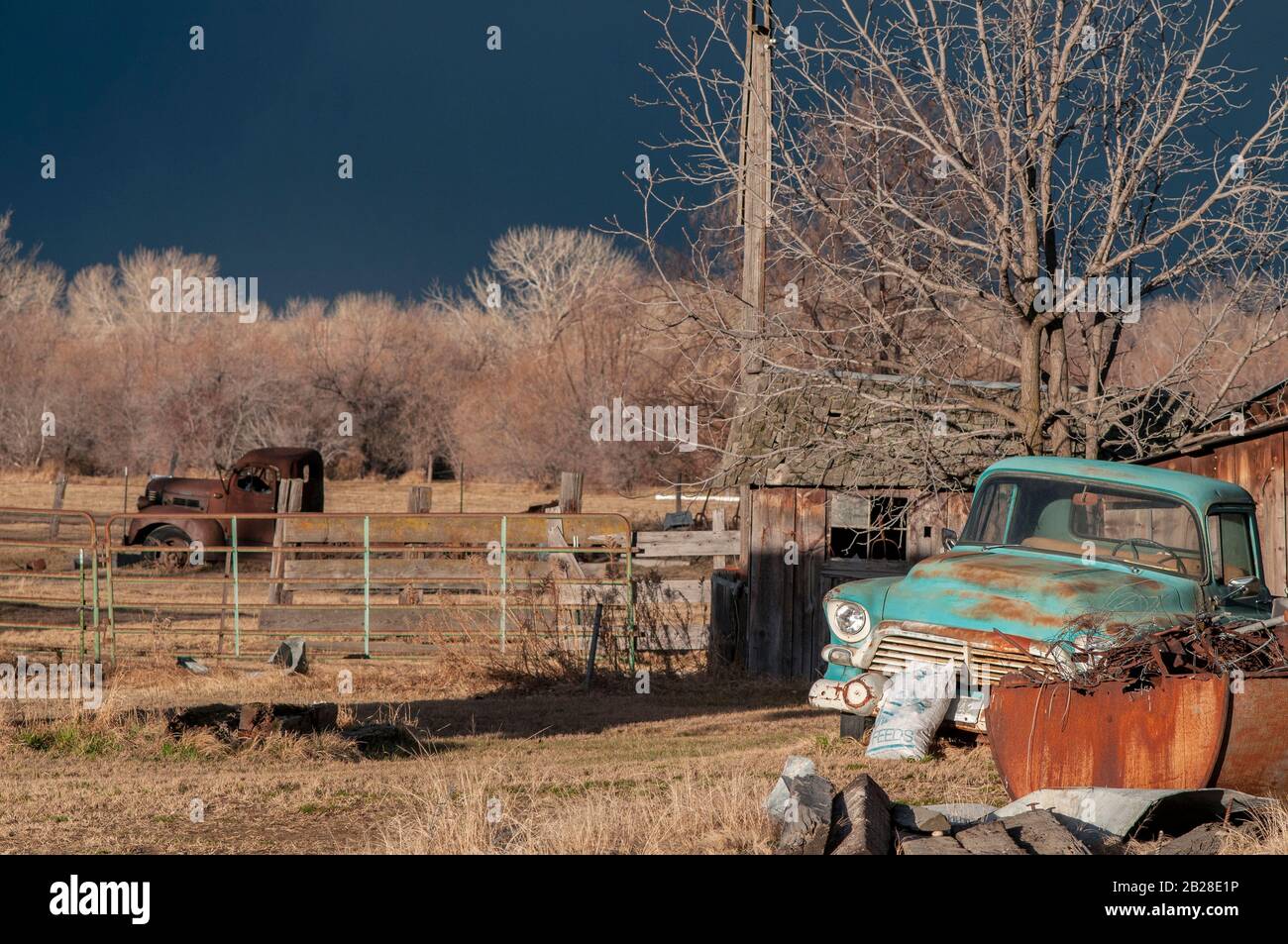 Antique warm front lit rusty light blue pickup truck sits near a rusty ...