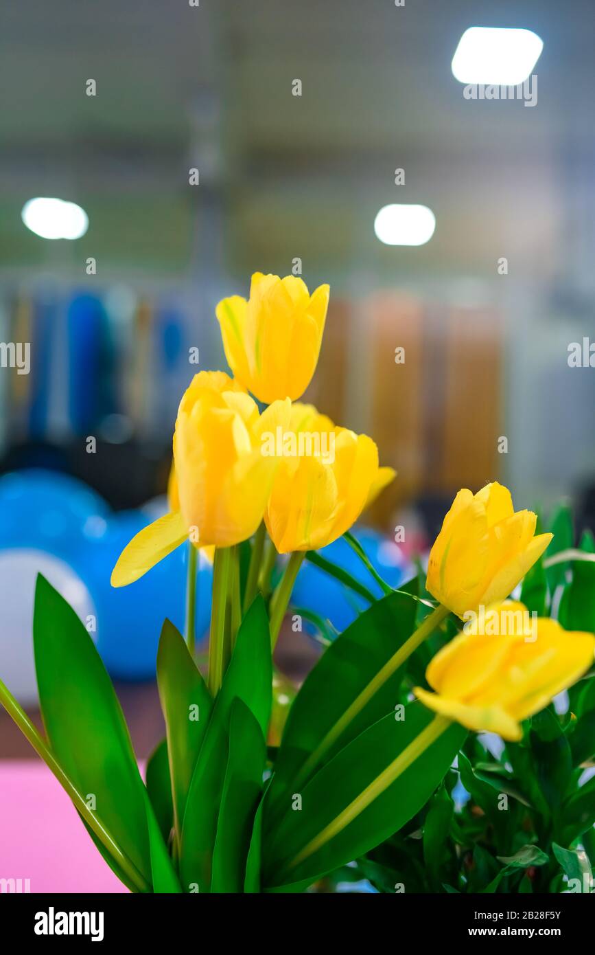 Tulip bouquet ideas hi-res stock photography and images - Alamy