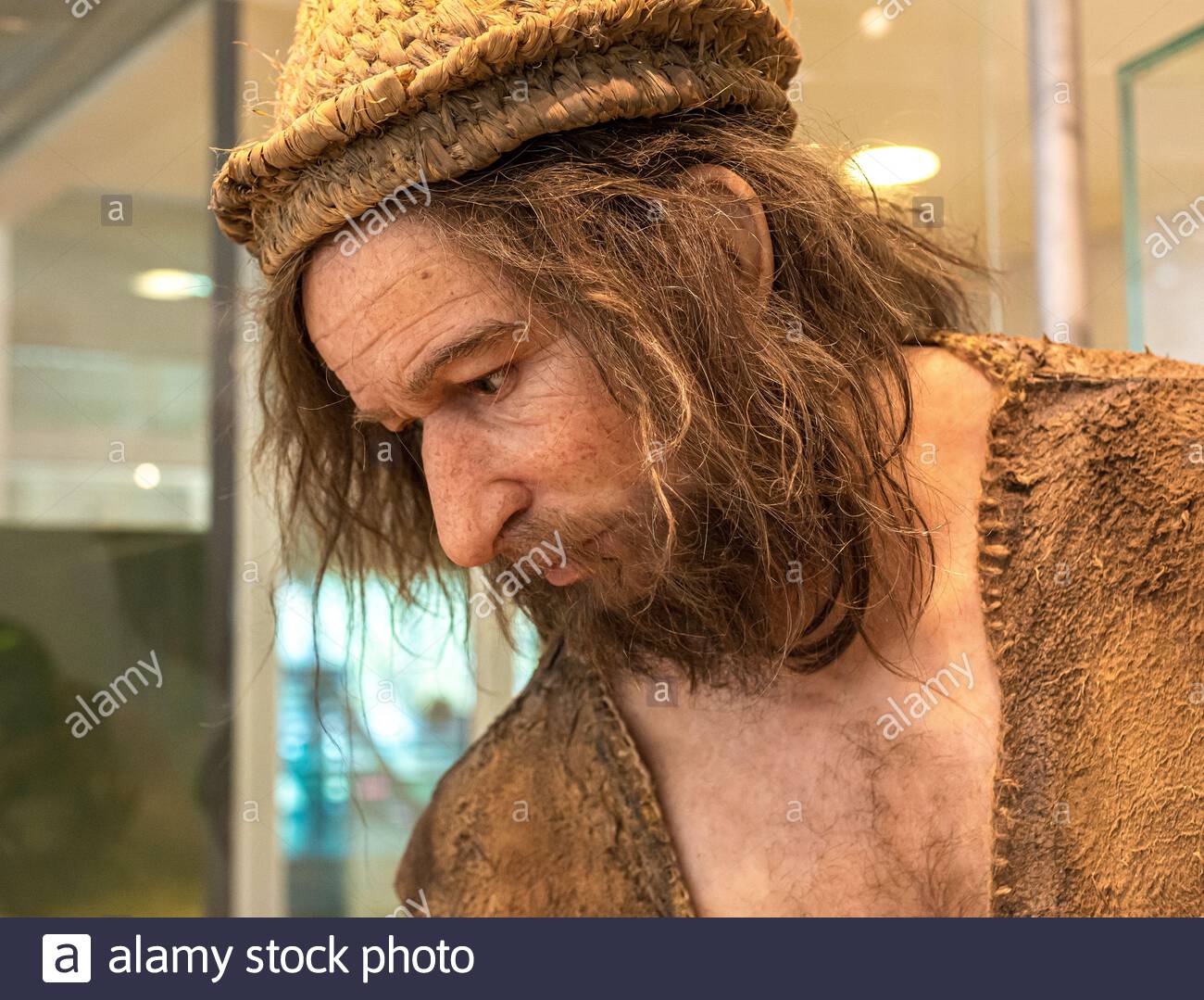 Homo Sapiens Reconstruction High Resolution Stock Photography and ...