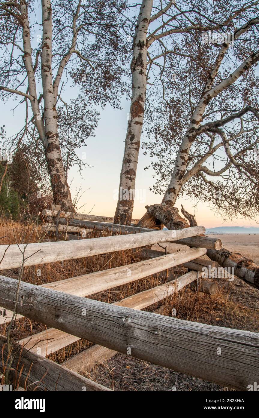 Worm fence hi-res stock photography and images - Alamy