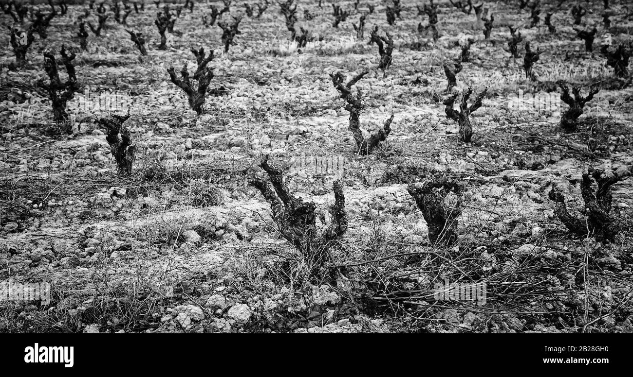 Labor in nature Black and White Stock Photos & Images - Alamy