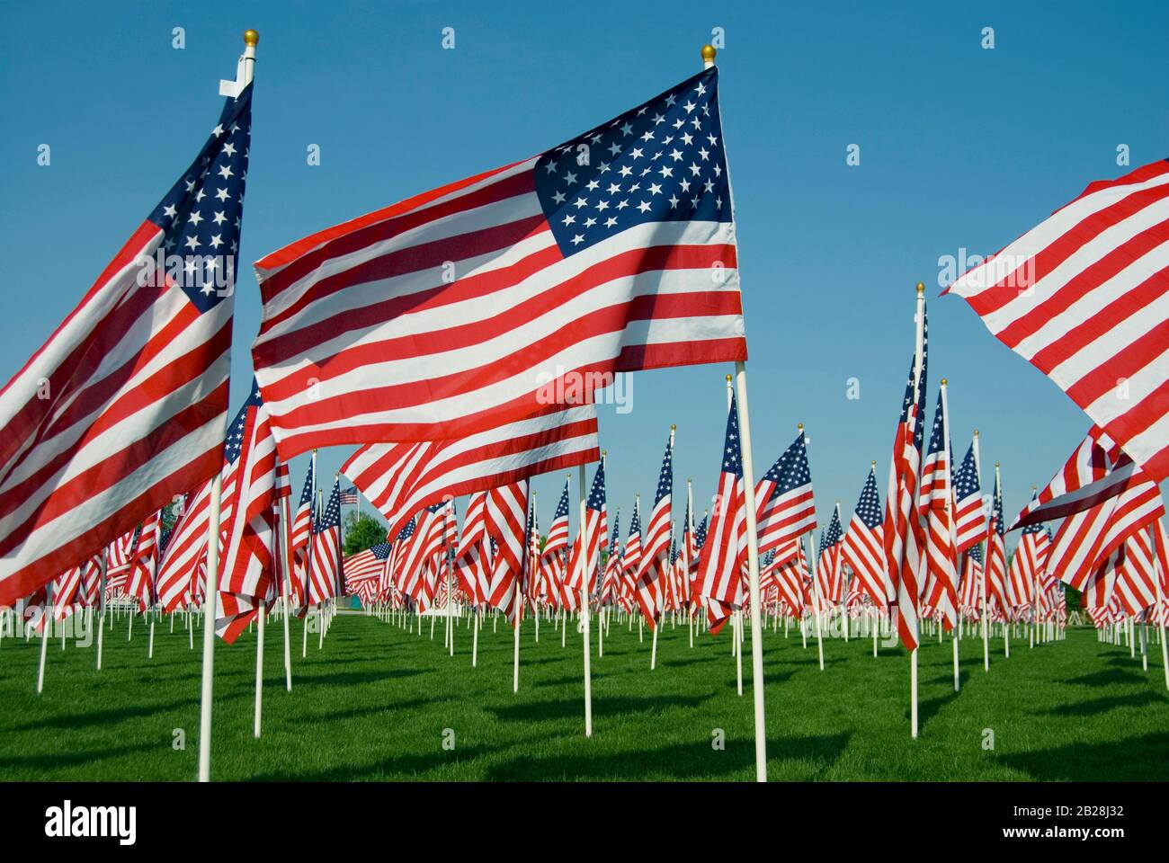 Multiple American Flags on Display with white posts topped by a gold ...