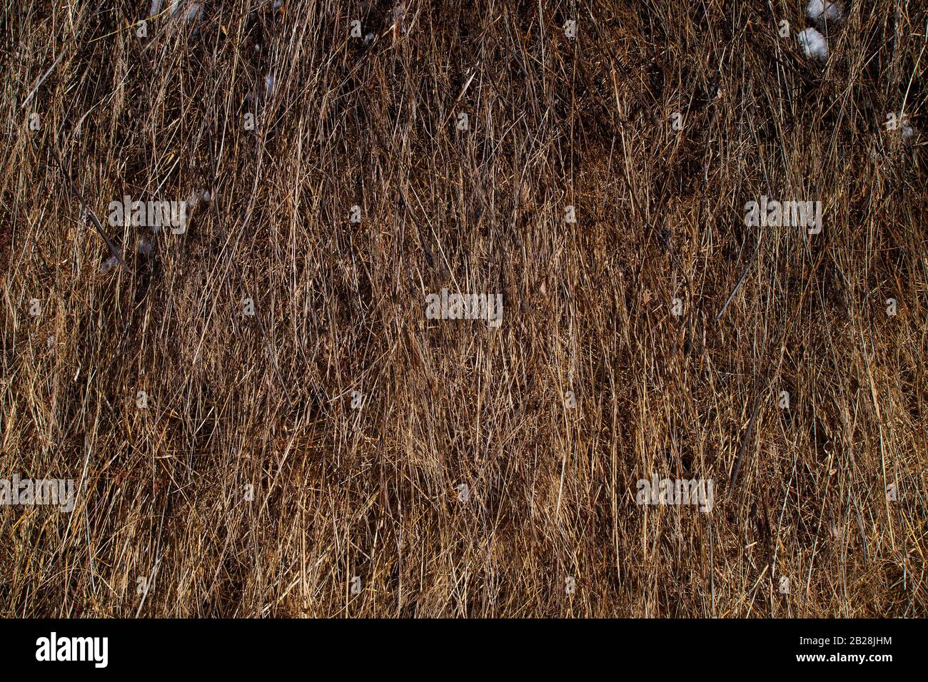 Hay texture hi-res stock photography and images - Alamy