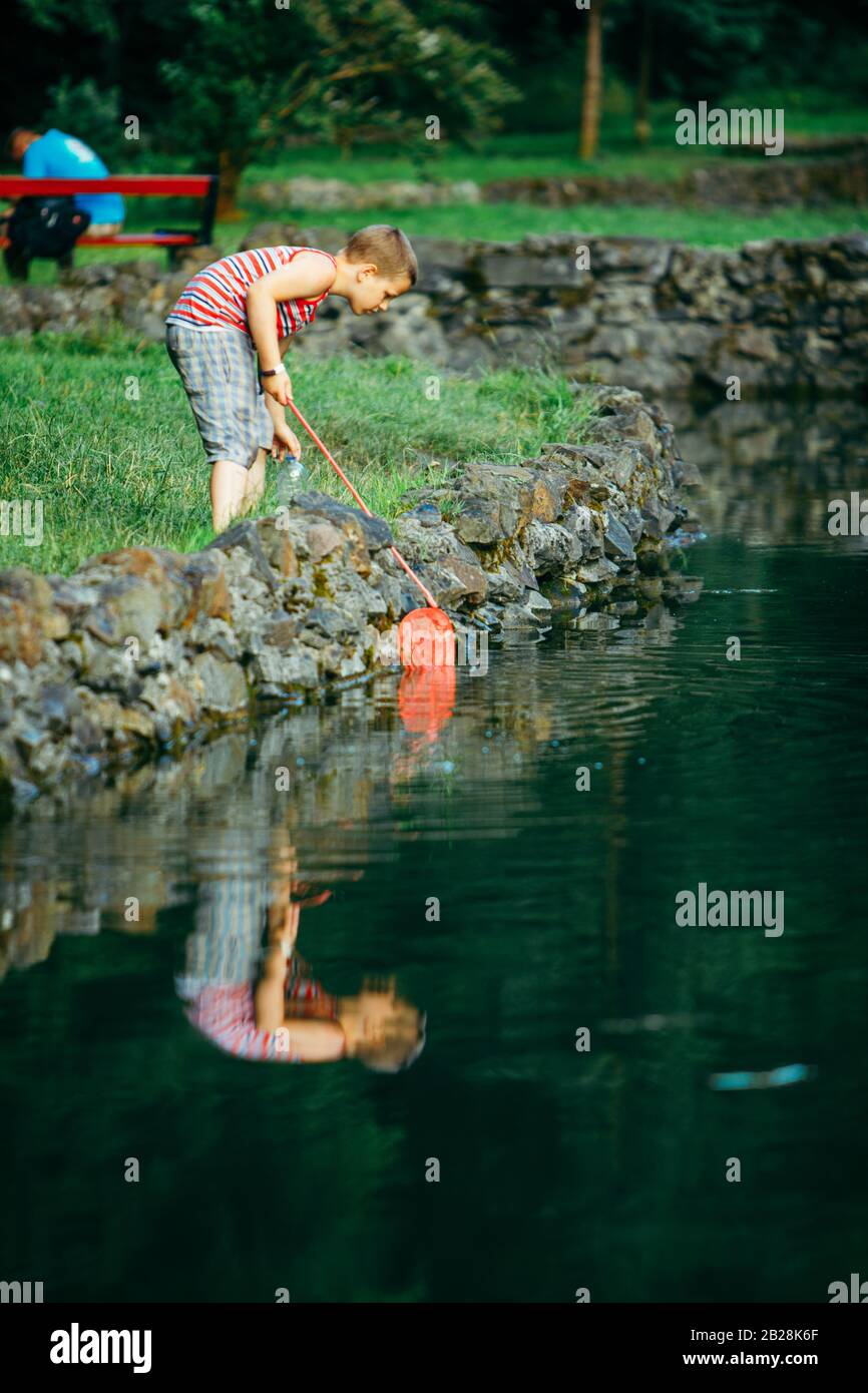 Tadpole fish hi-res stock photography and images - Alamy