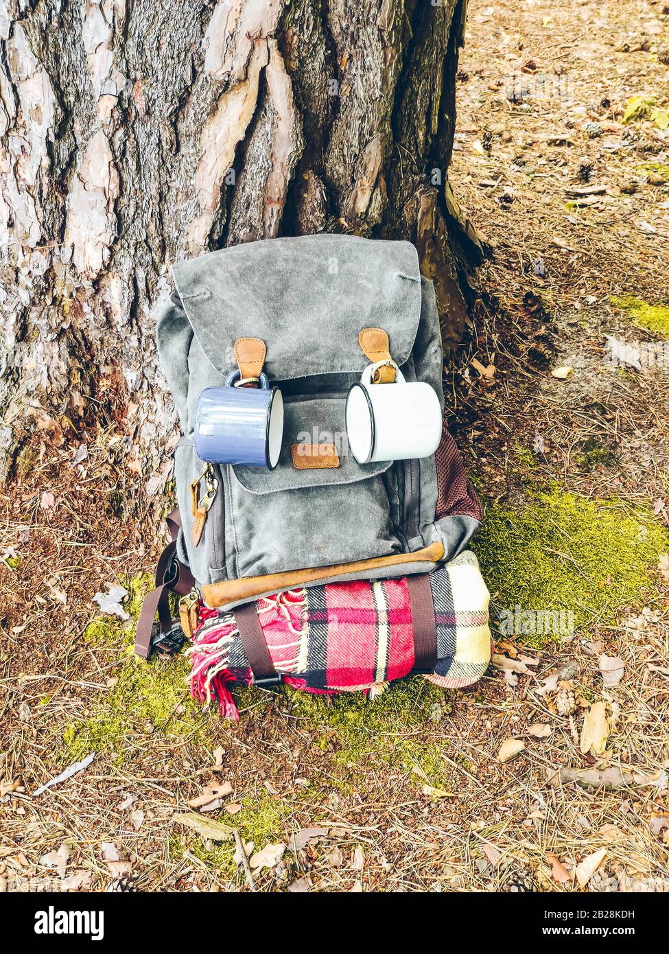 hiking backpack in forest on the ground Stock Photo - Alamy