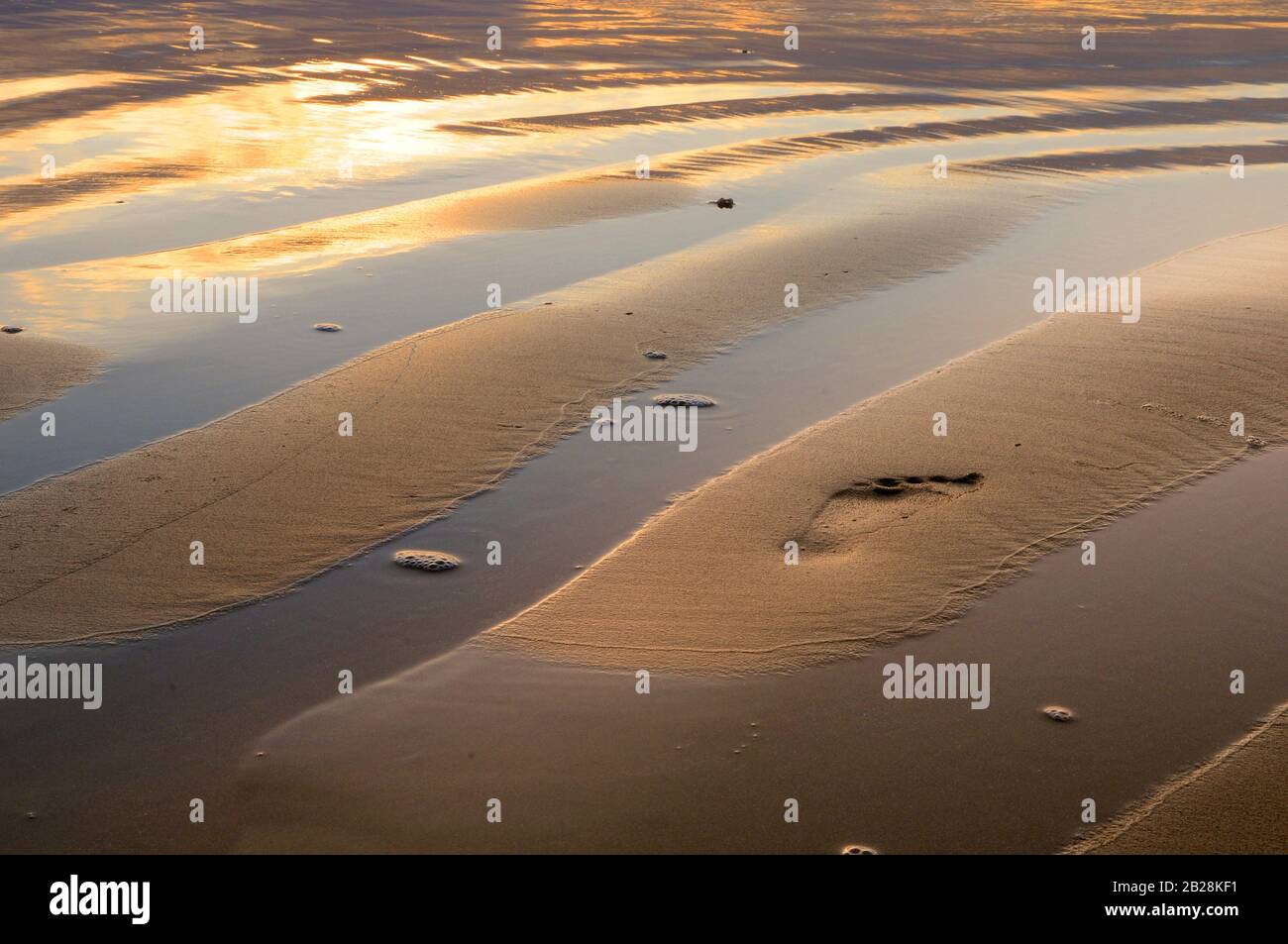 A Single Defined Footprint in the illuminated by the off camera setting ...