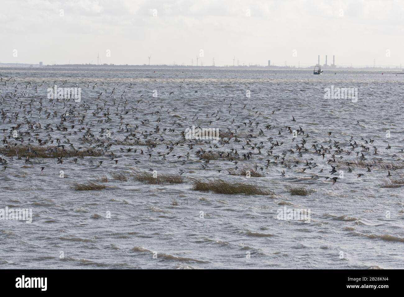 Mainly red hi-res stock photography and images - Alamy