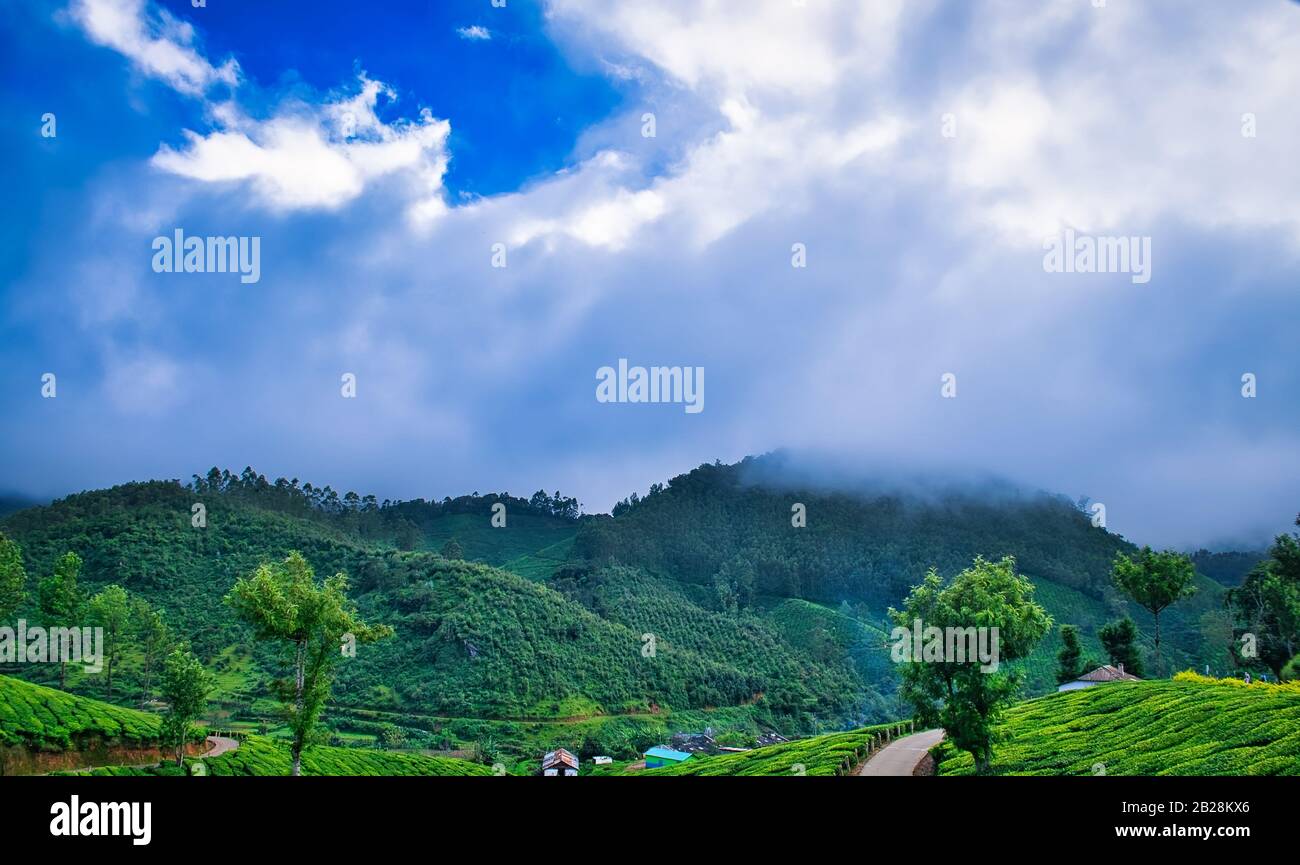 Beautiful scenery of green valley covered in fog. From Munnar, Kerala ...