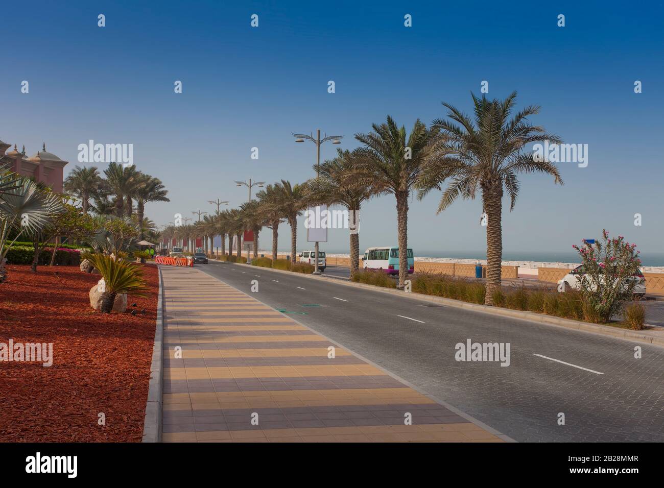 beautiful palm trees in Dubai city, United Arab Emirates Stock Photo ...