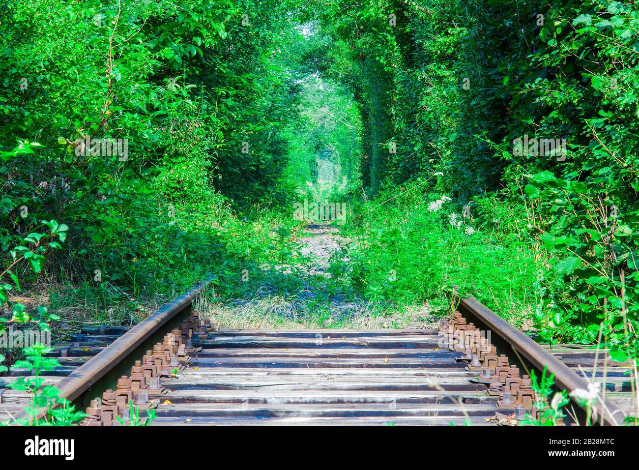 tunnel of love with train railway in forest. Romania Stock Photo - Alamy