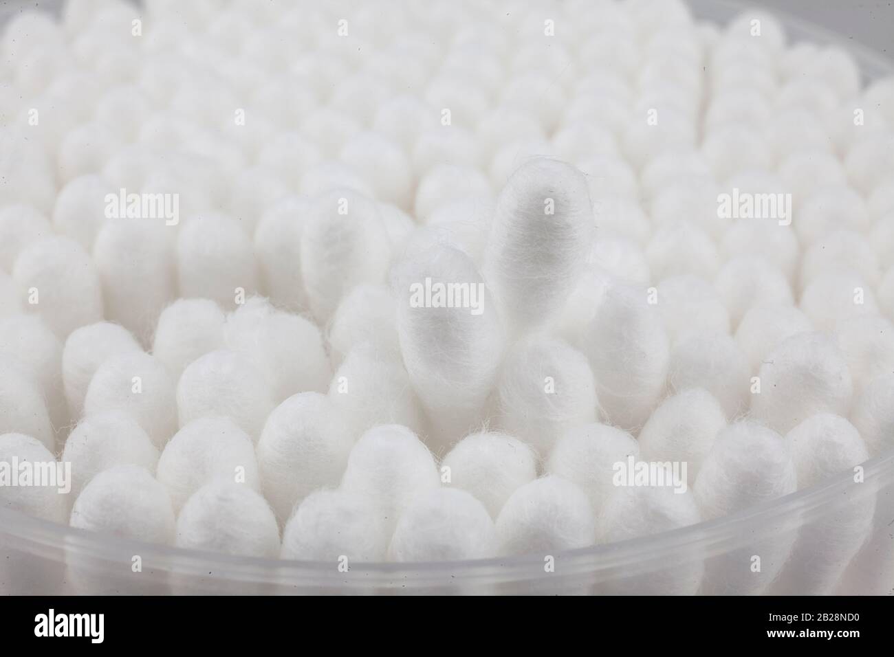 studio shot of cotton buds in transparent plastic container Stock Photo ...