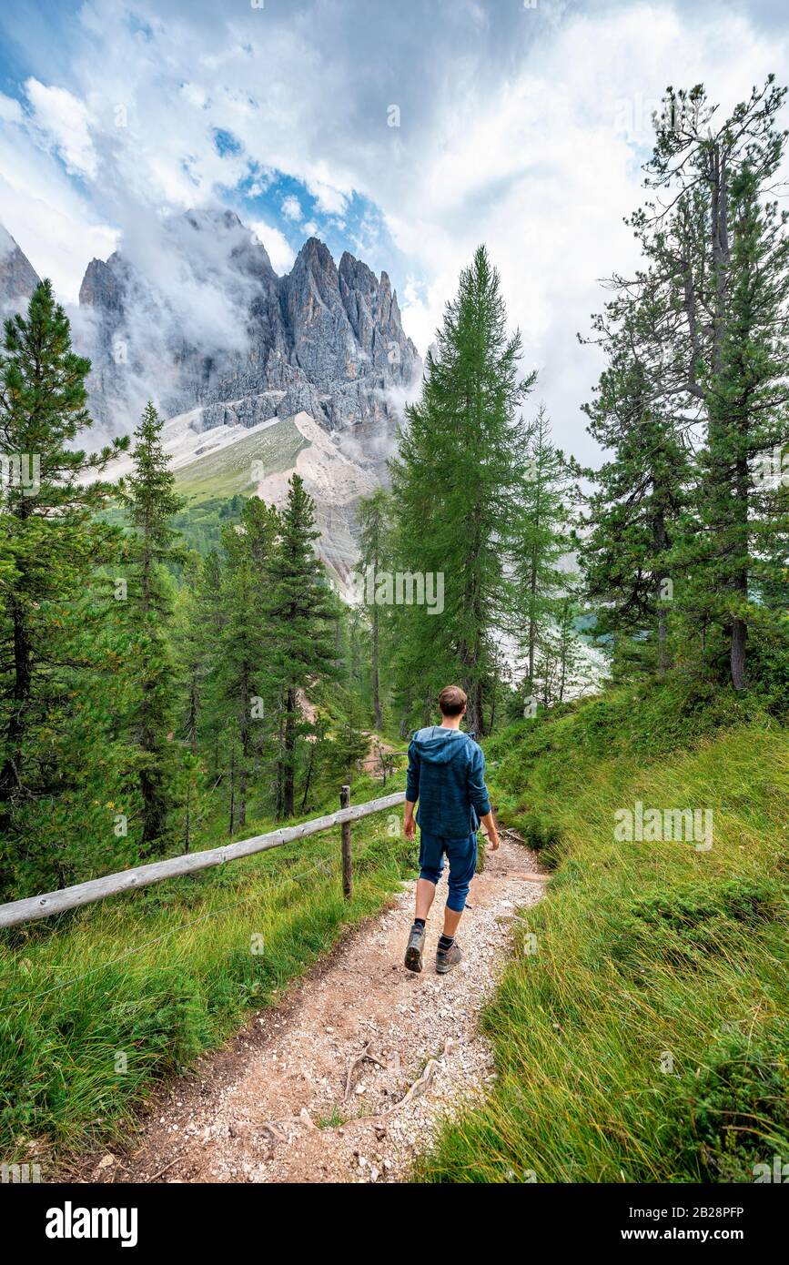 In the back the geisler peaks and the puez group hi-res stock ...