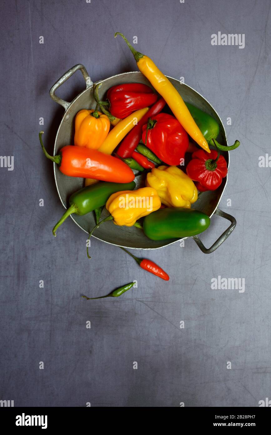 Different types of peppers in shell, Germany Stock Photo - Alamy
