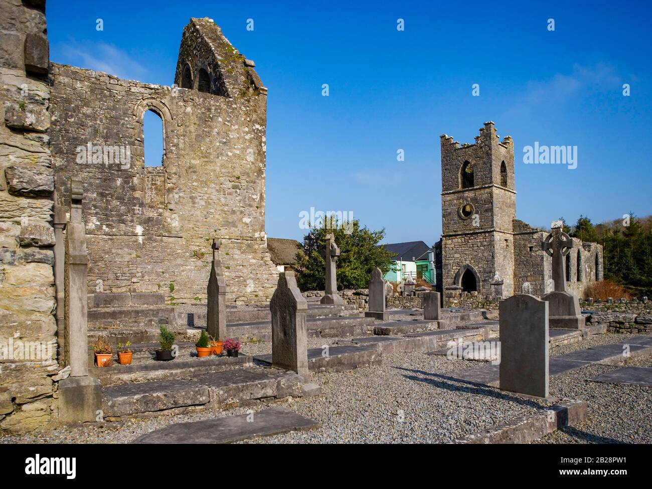 Abbey of Cong, Cong Abbey, Cong, County Galway, Republic of Ireland ...