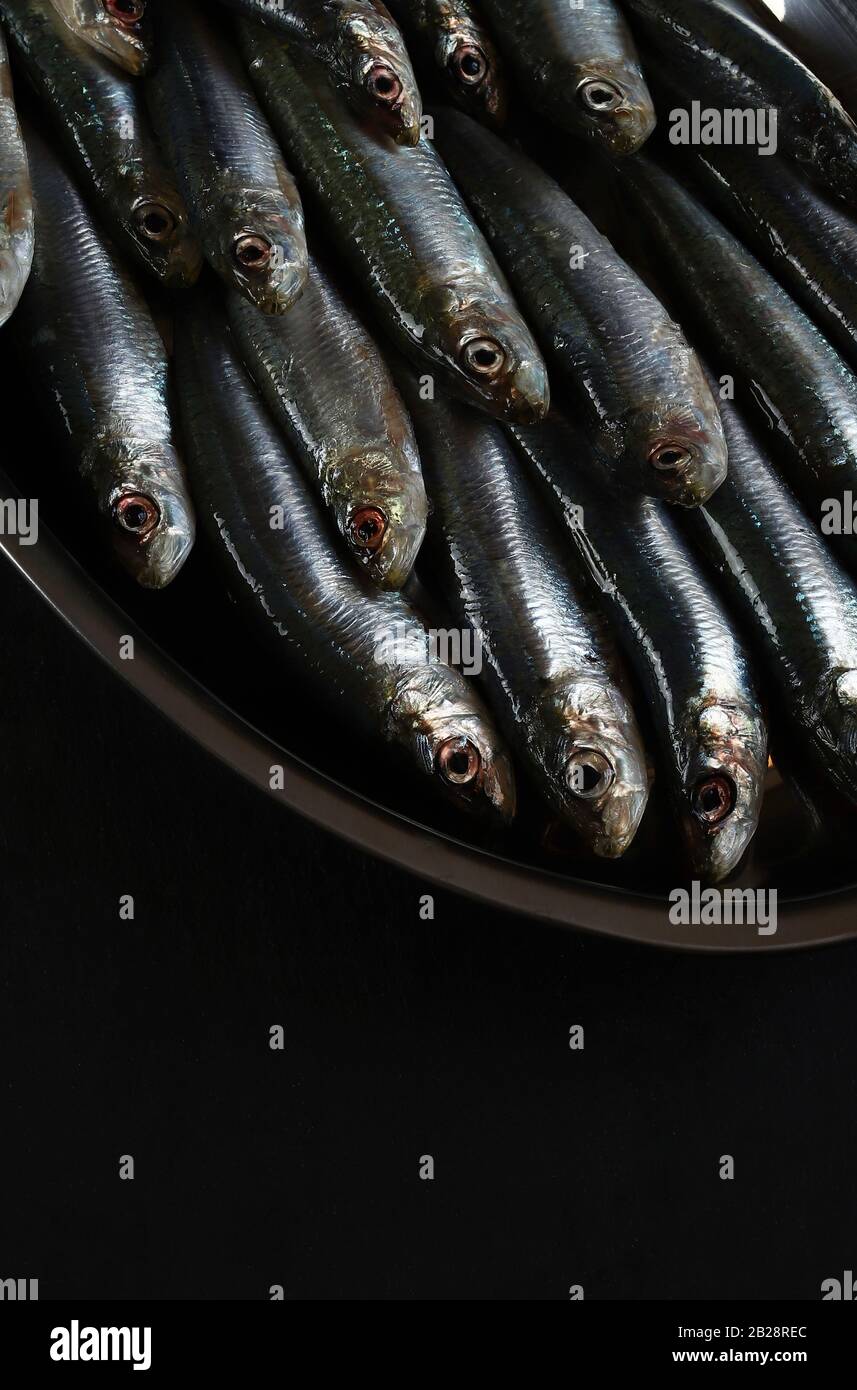 Fresh fish. Top view of fresh sardines on dark background with copy ...