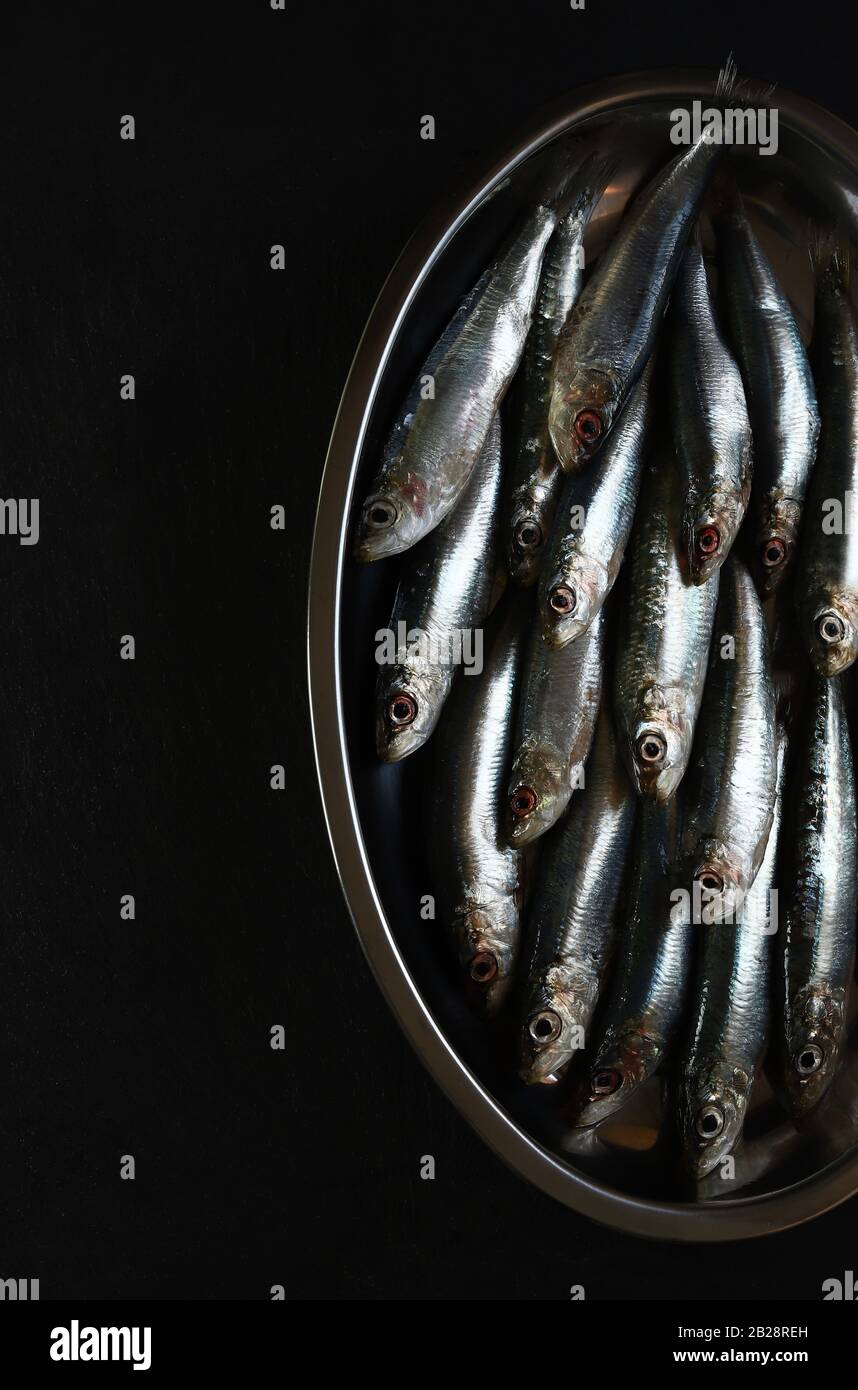 Fresh fish. Top view of fresh sardines on dark background with copy ...