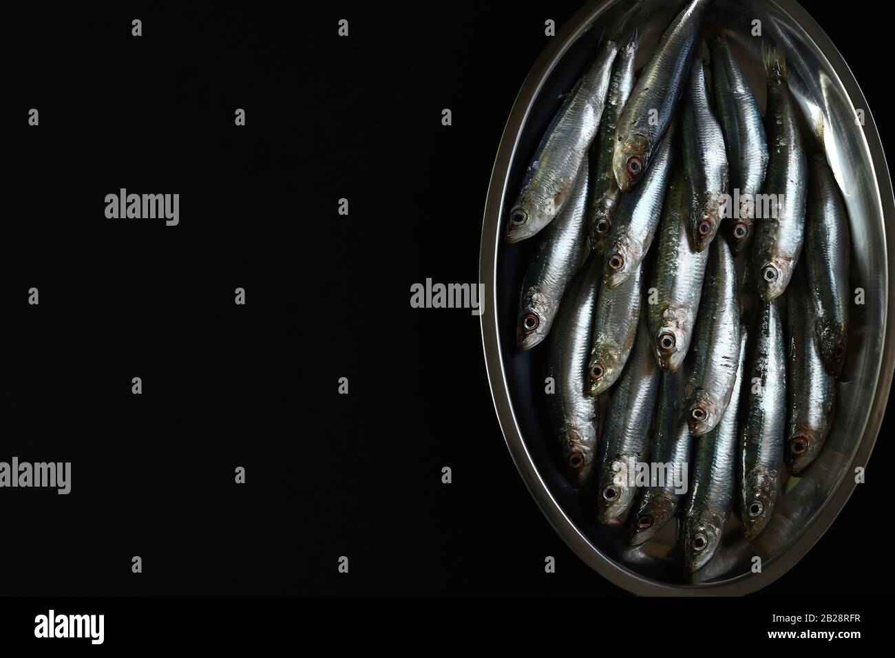 Fresh fish. Top view of fresh sardines on dark background with copy ...