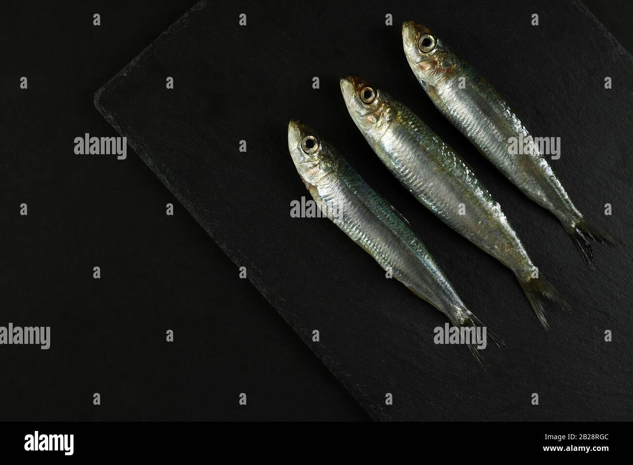 Fresh fish. Top view of fresh sardines on dark background with copy ...