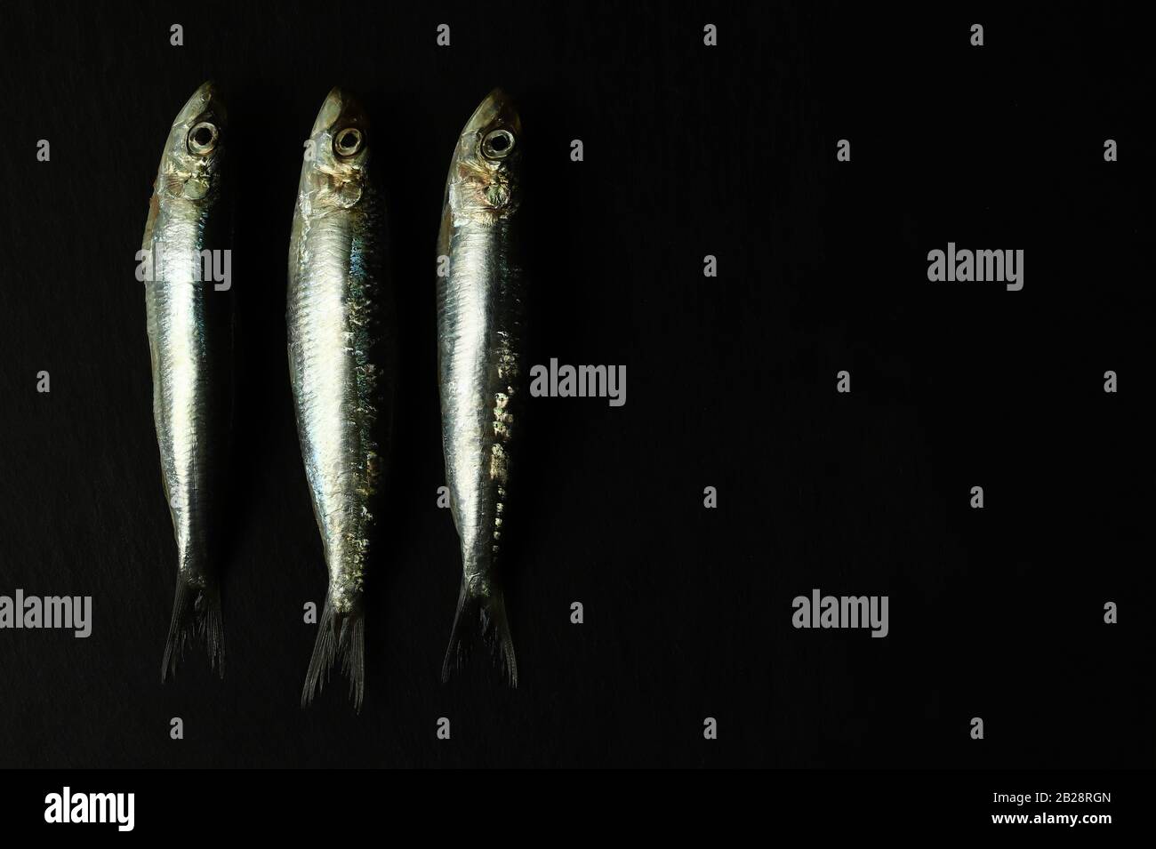 Fresh fish. Top view of fresh sardines on dark background with copy ...