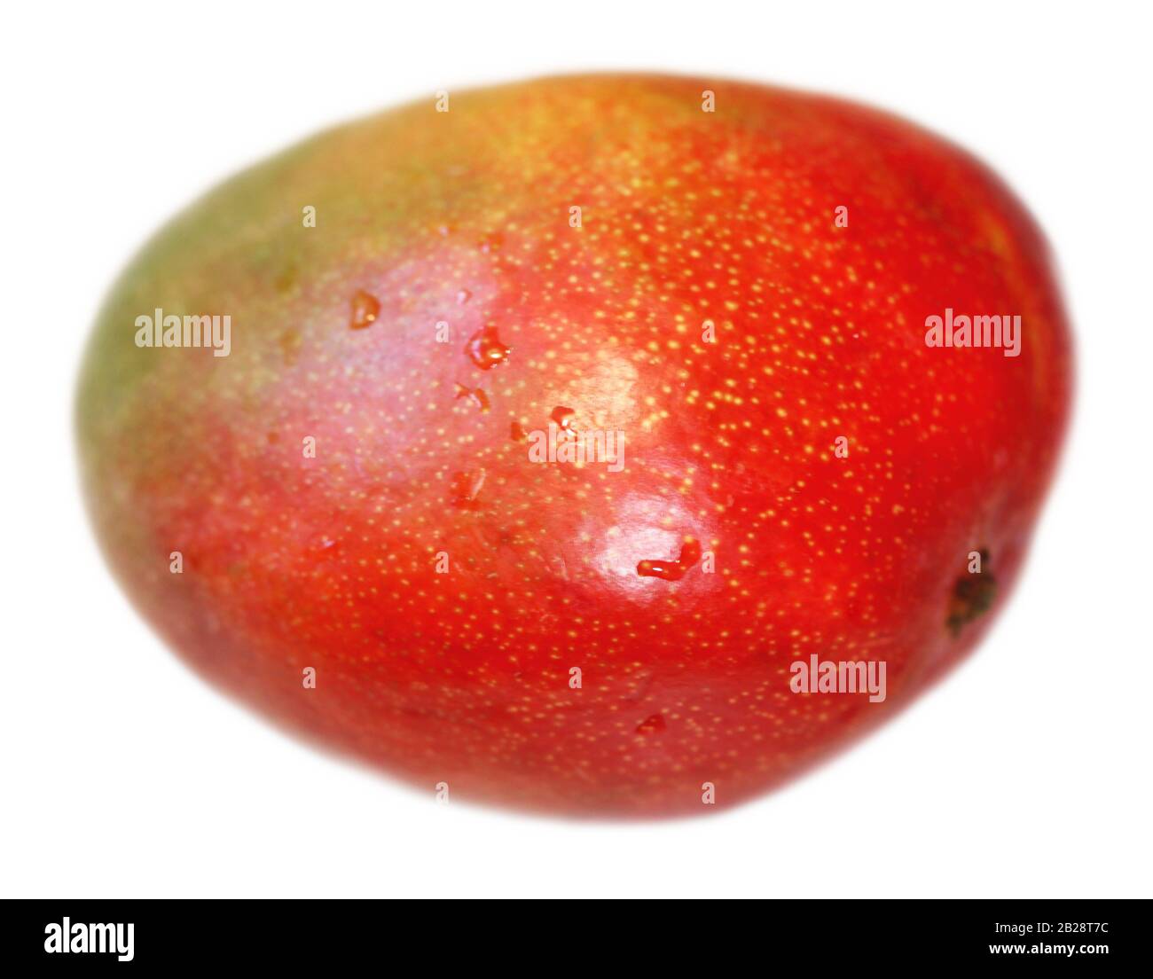 Beautiful delicious mango photographed in close up white background ...