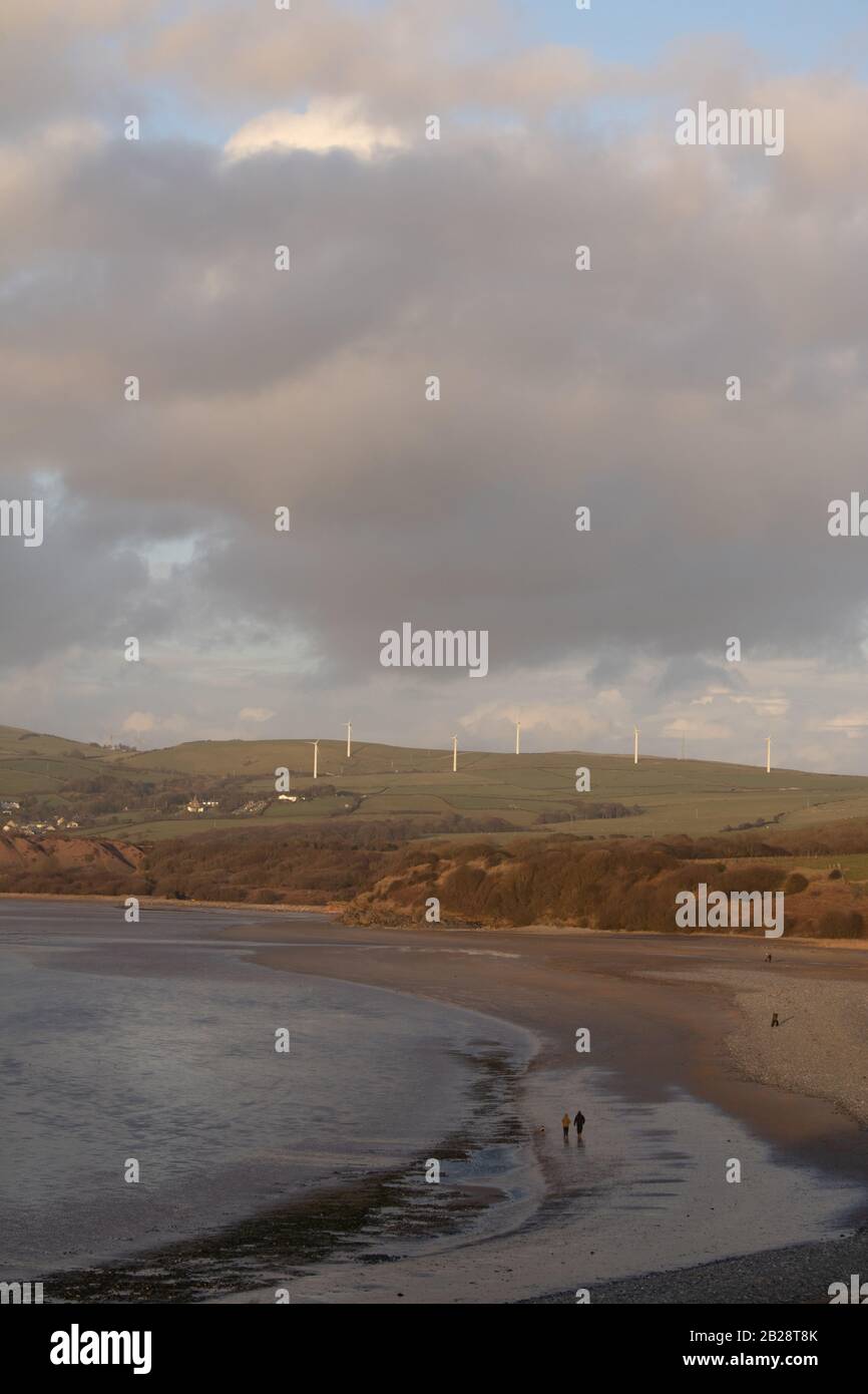 UK, Sandscale Haws National Nature Reserve, Cumbrian Coast. Spring 2020 ...