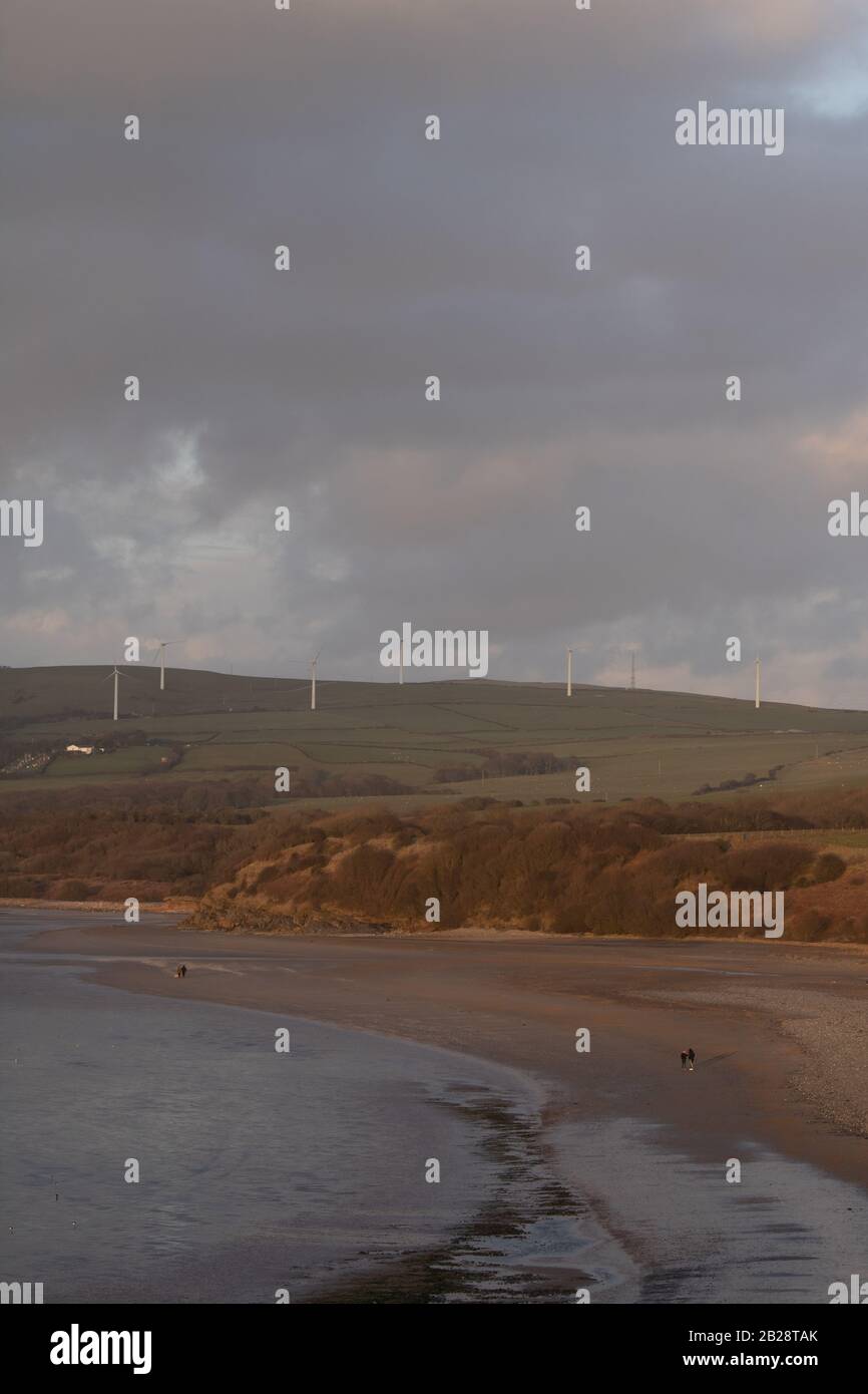 UK, Sandscale Haws National Nature Reserve, Cumbrian Coast. Spring 2020 ...