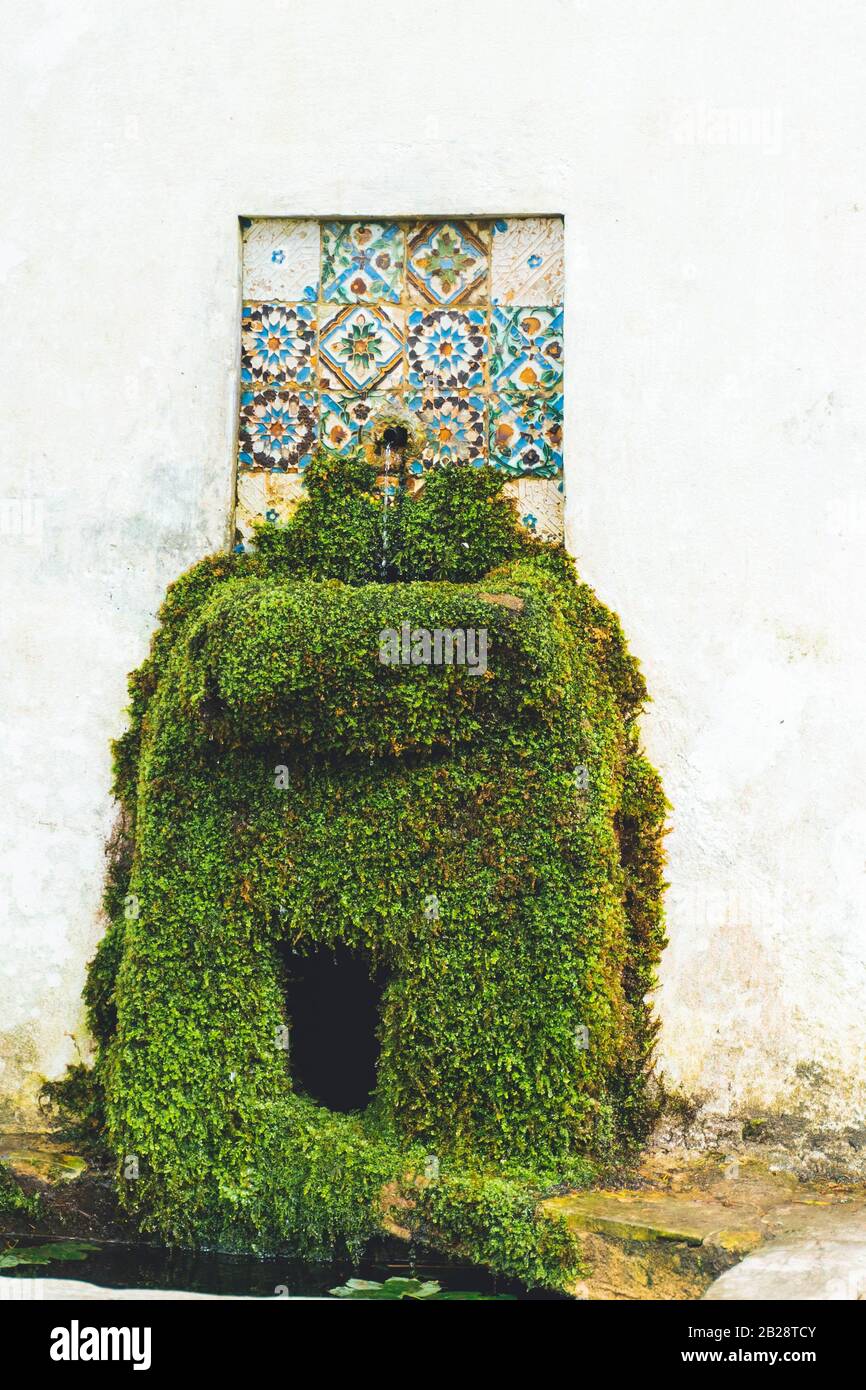 source of natural spring water with pipe. white textured background ...