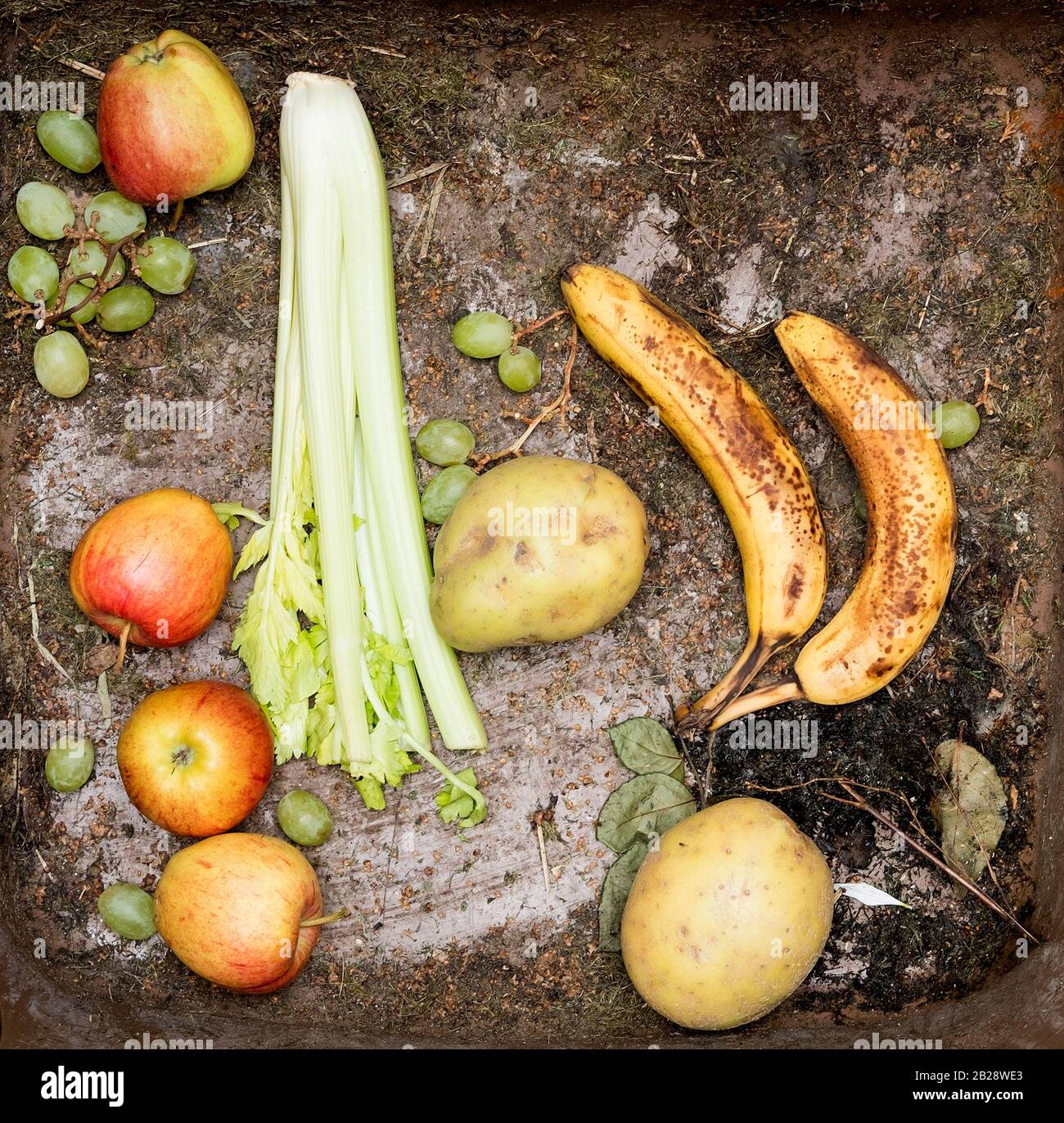 Surplus food and vegetables at the bottom of a dustbin Stock Photo - Alamy