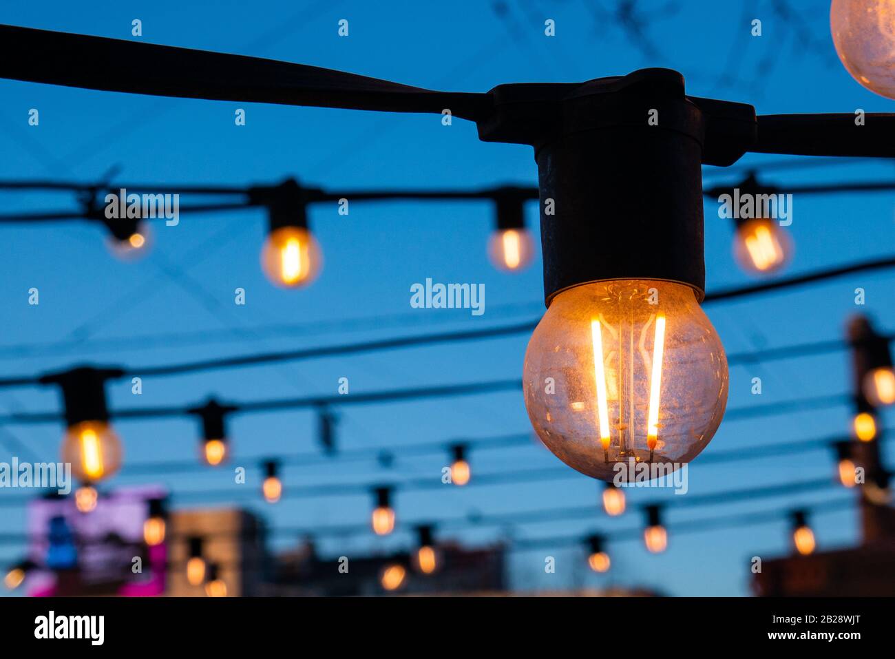 Light bulbs on the evening blue sky Stock Photo - Alamy