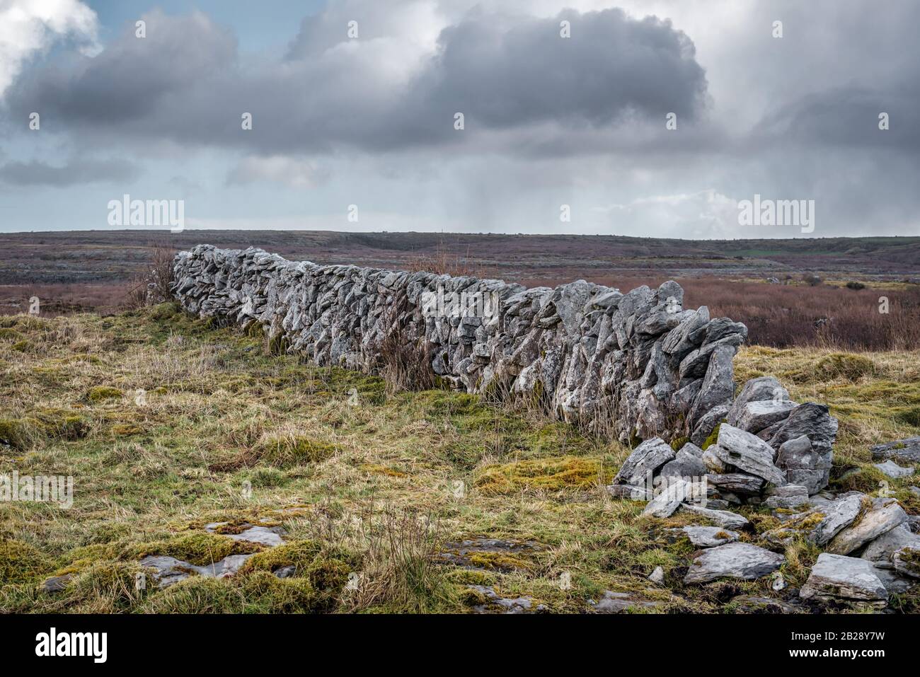 Ruins of an old stone wall in the Burren of County Clare in Ireland ...