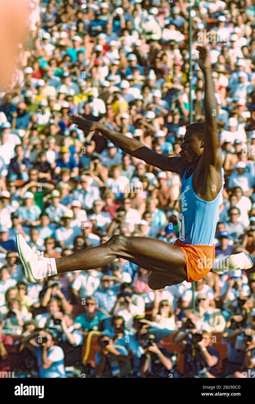 Carl Lewis competing the long jump at the 1984 US Olympic Track and ...