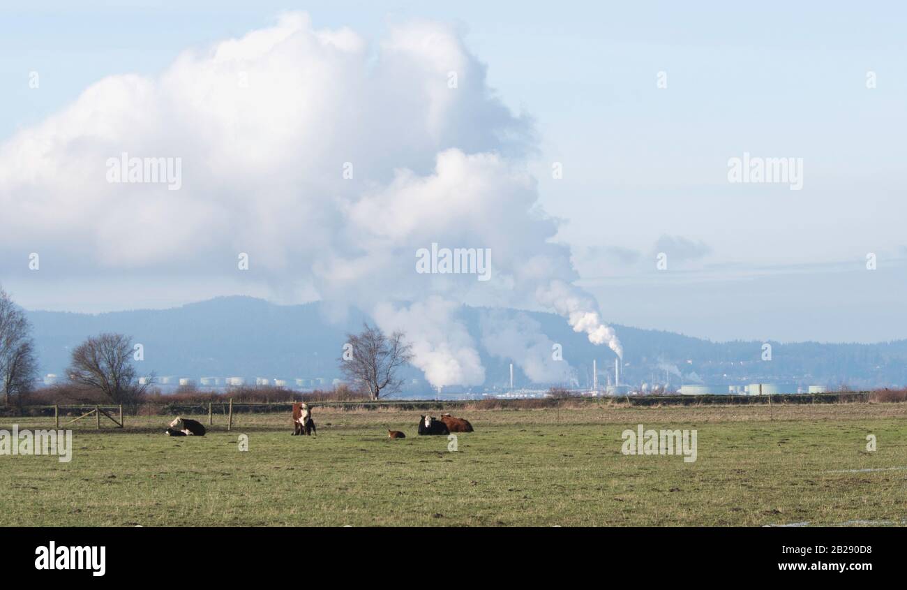 Environmental pollution food rest hi-res stock photography and images ...