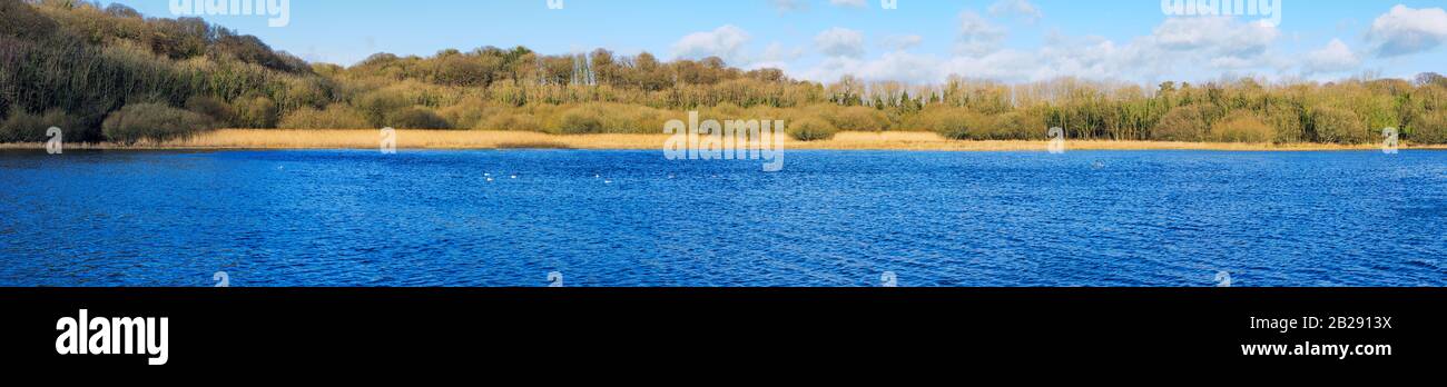 Northern ireland downpatrick river hi-res stock photography and images ...