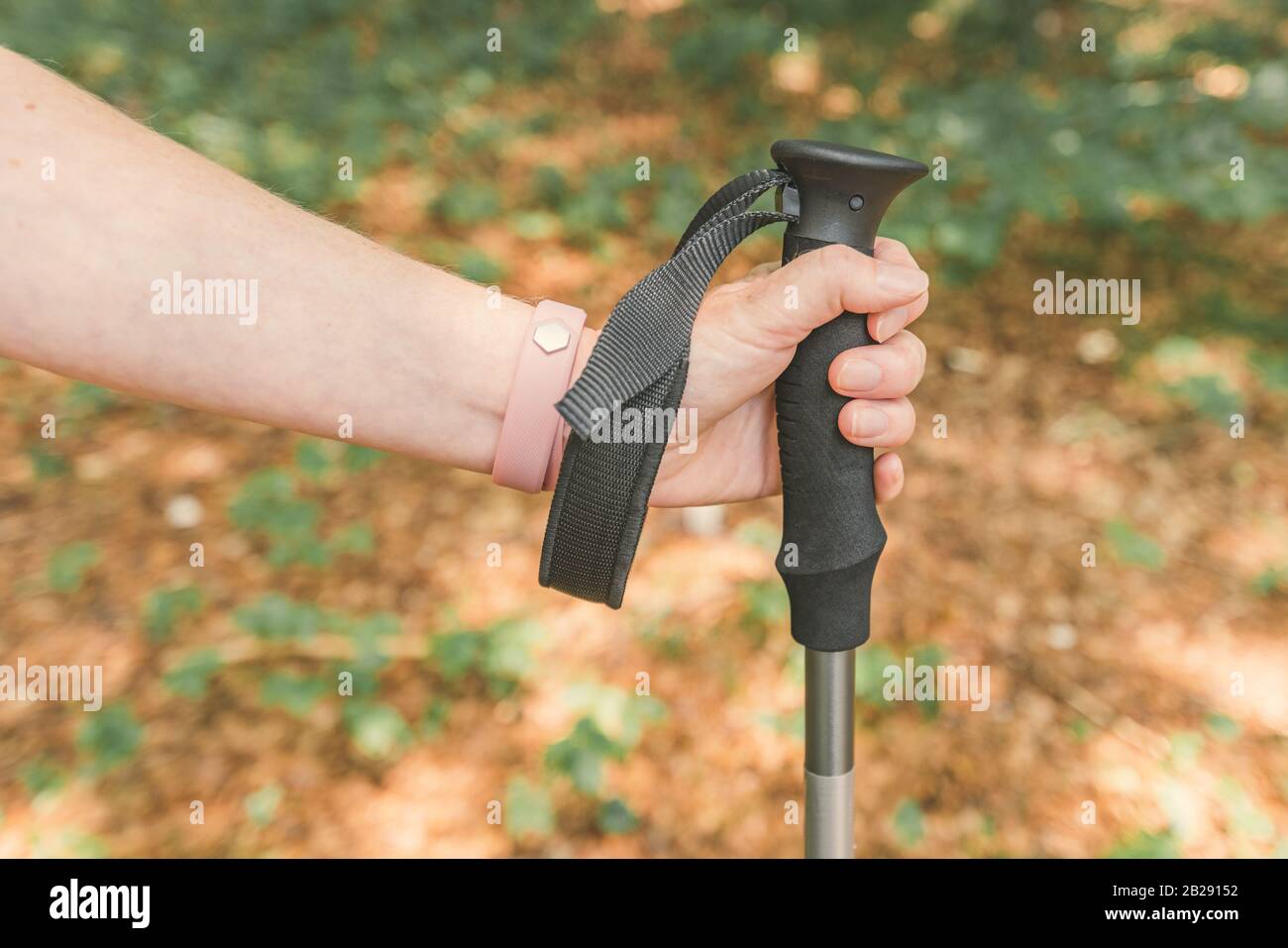 Trekking pole hi-res stock photography and images - Alamy