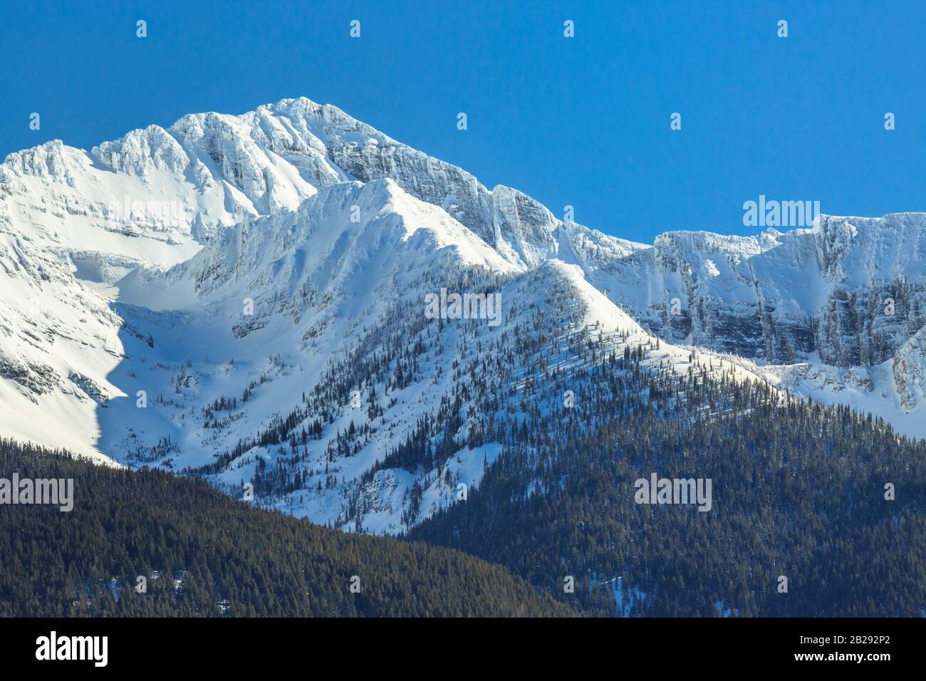 holland peak in the swan range in winter near condon, montana Stock ...