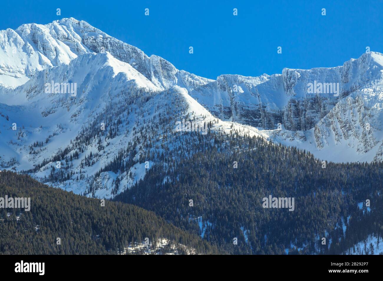 holland peak in the swan range in winter near condon, montana Stock ...