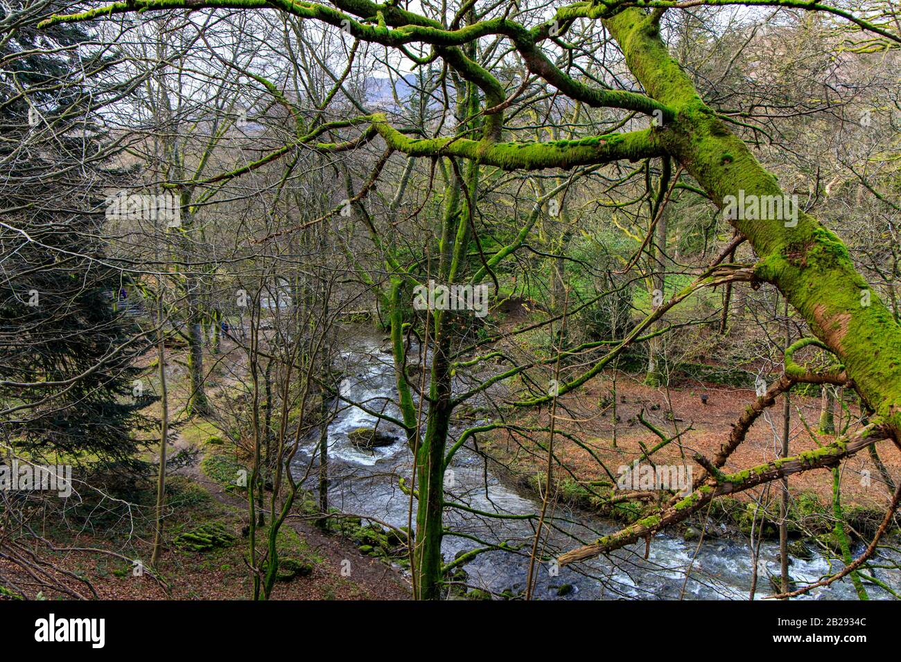 Ullswater and Aira force, Cumbria, Lake District Stock Photo - Alamy