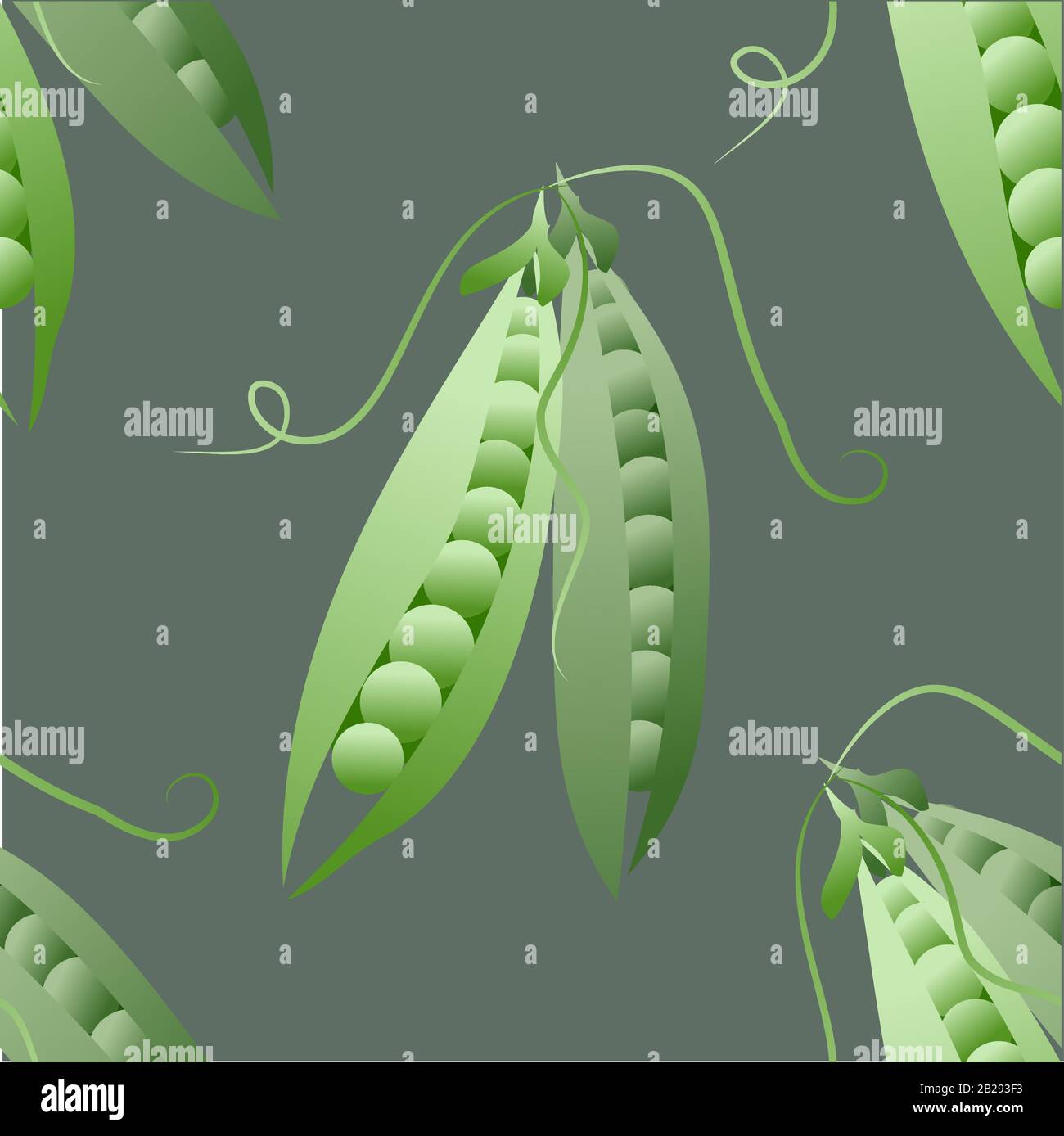 Green peas. Vector seamless pattern. Seamless texture. Seamless pattern ...