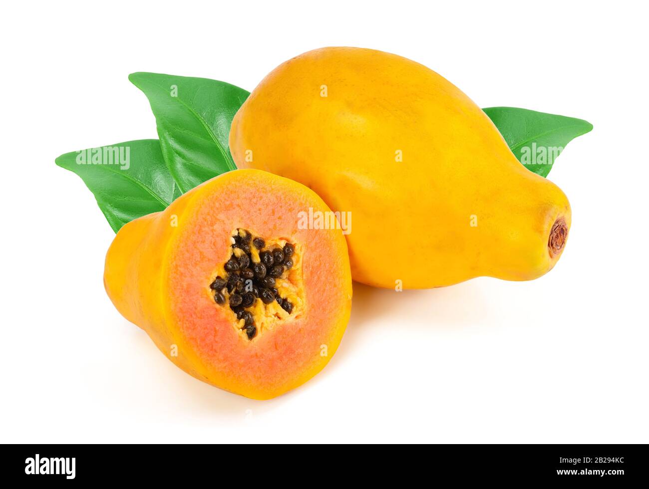 Papaya leaves Cut Out Stock Images & Pictures - Alamy