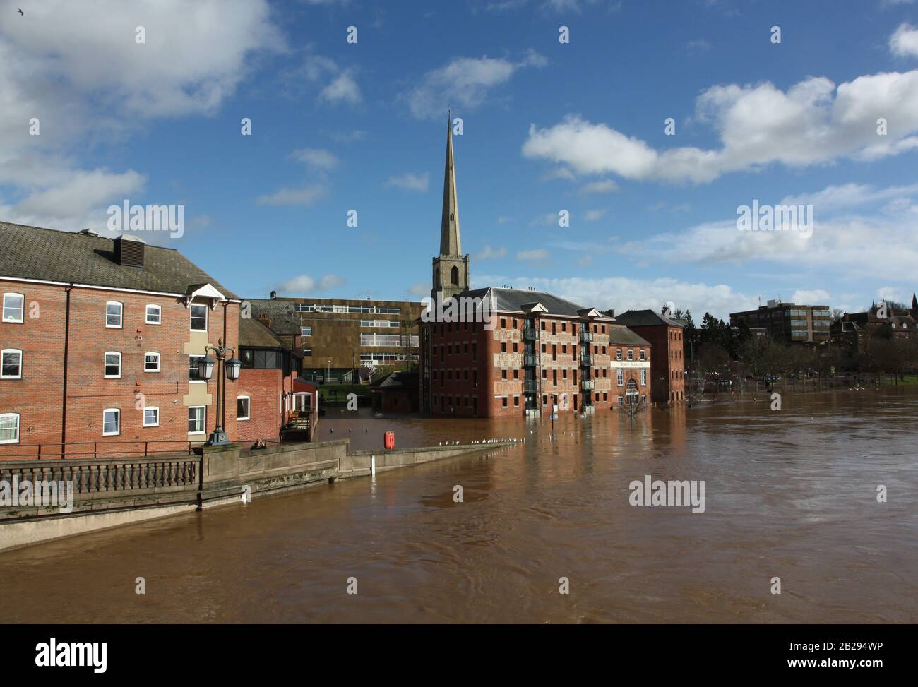 Hurricane trees buildings rain hi-res stock photography and images - Alamy