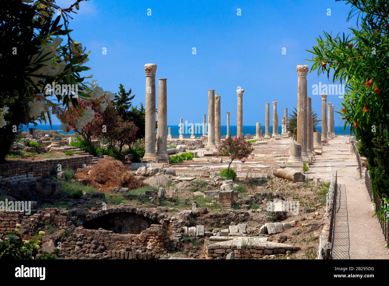 Colonnade of Roman temple on the Mosaic Road, next to the Mediterranean ...
