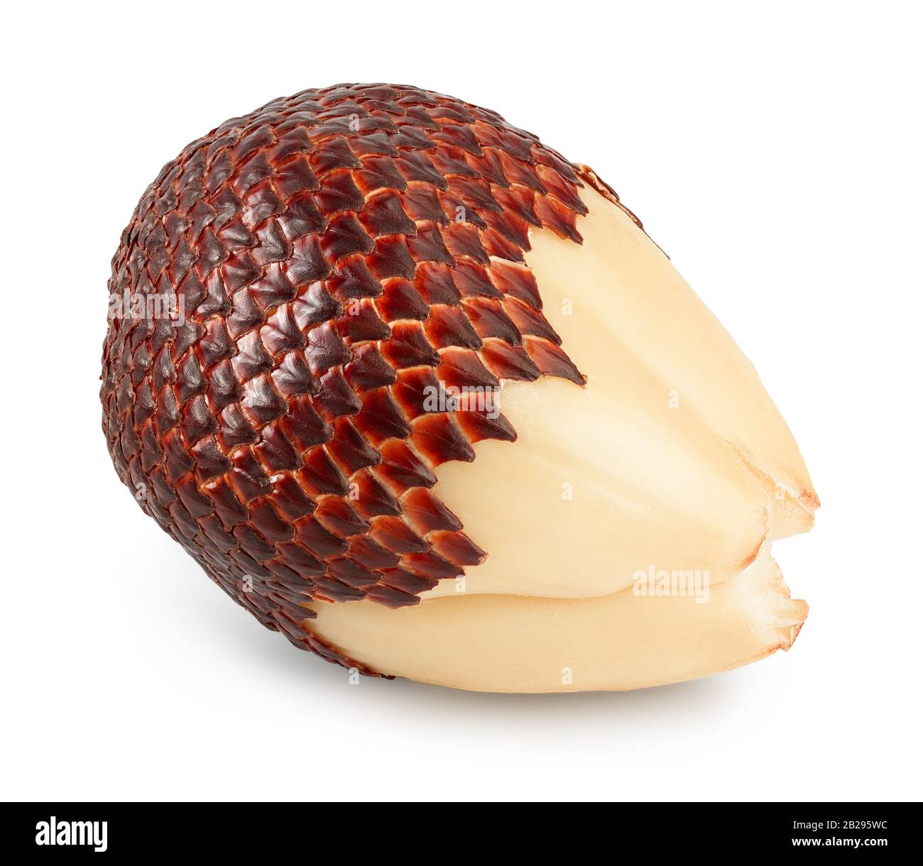 Salak snake fruit isolated on white background with clipping path and ...