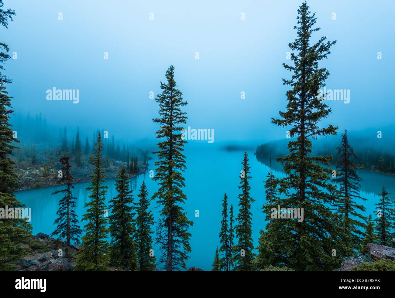 lake in the cold forest Stock Photo - Alamy