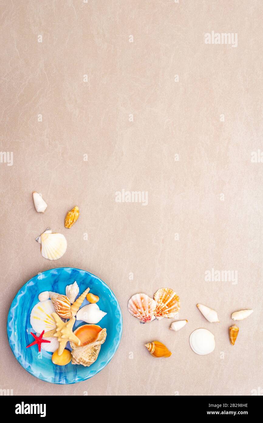 Seashells summer background. Lots of different seashells piled together ...