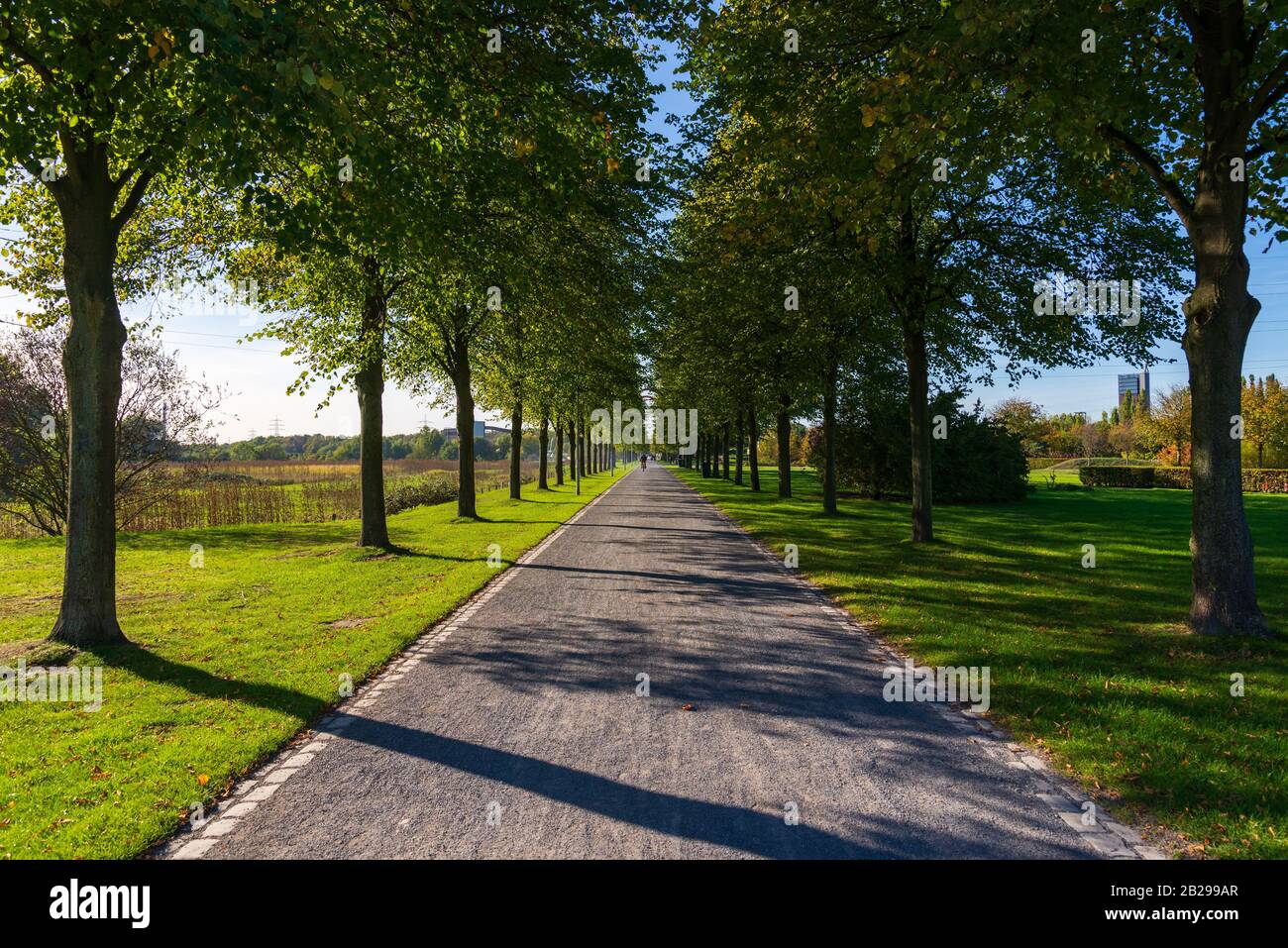 Diminishing perspective view of street and range of tree at Nordstern ...