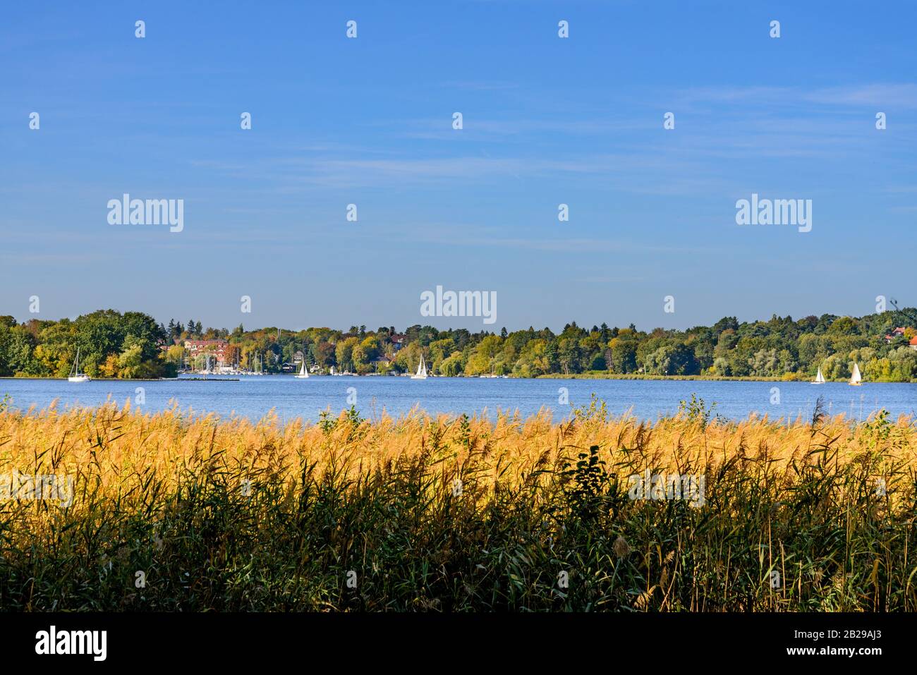 Natural landscape view of boat sail at Wannsee lake, Havel river, from ...