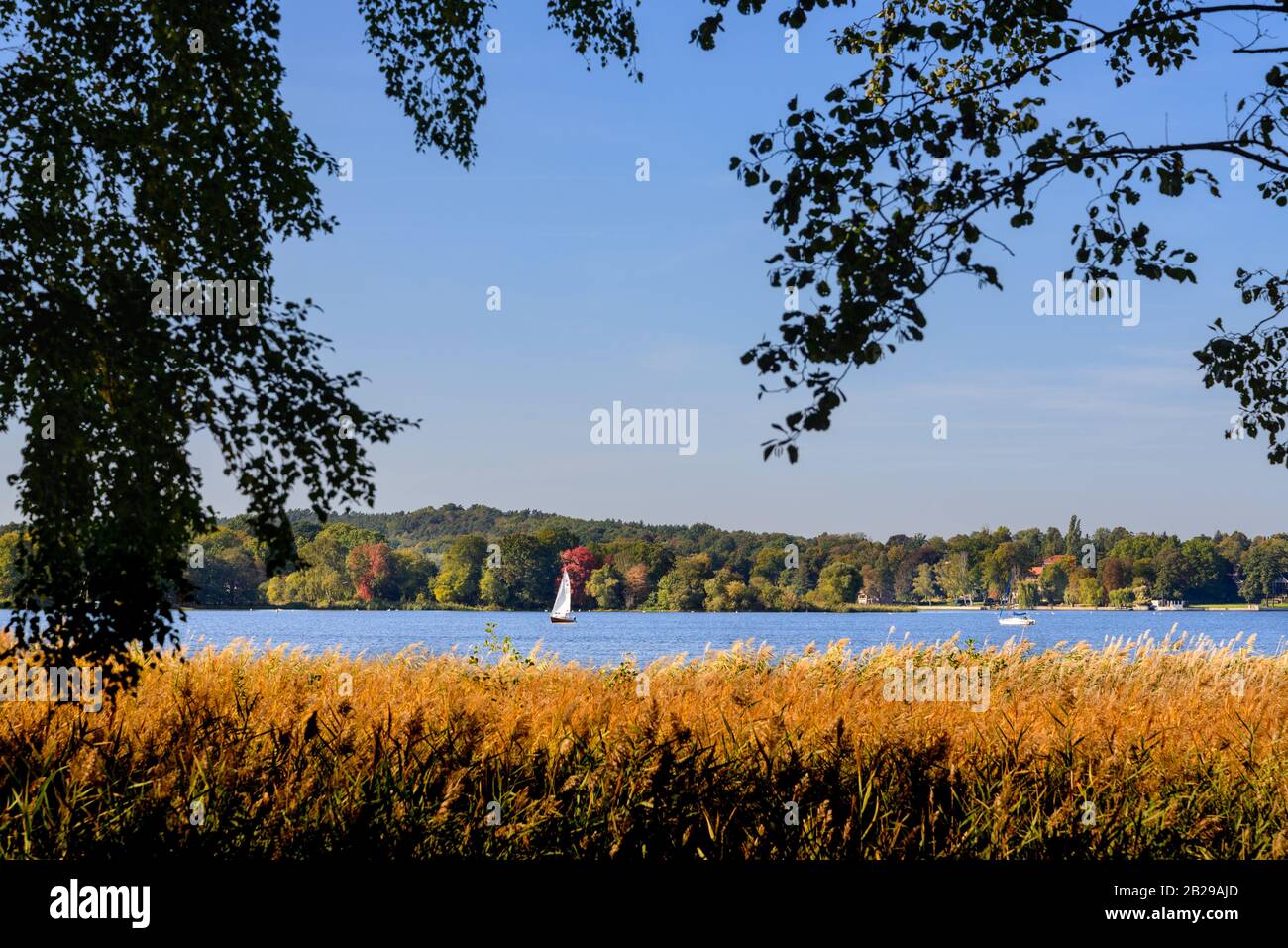Berlin and wannsee and beach hi-res stock photography and images - Alamy