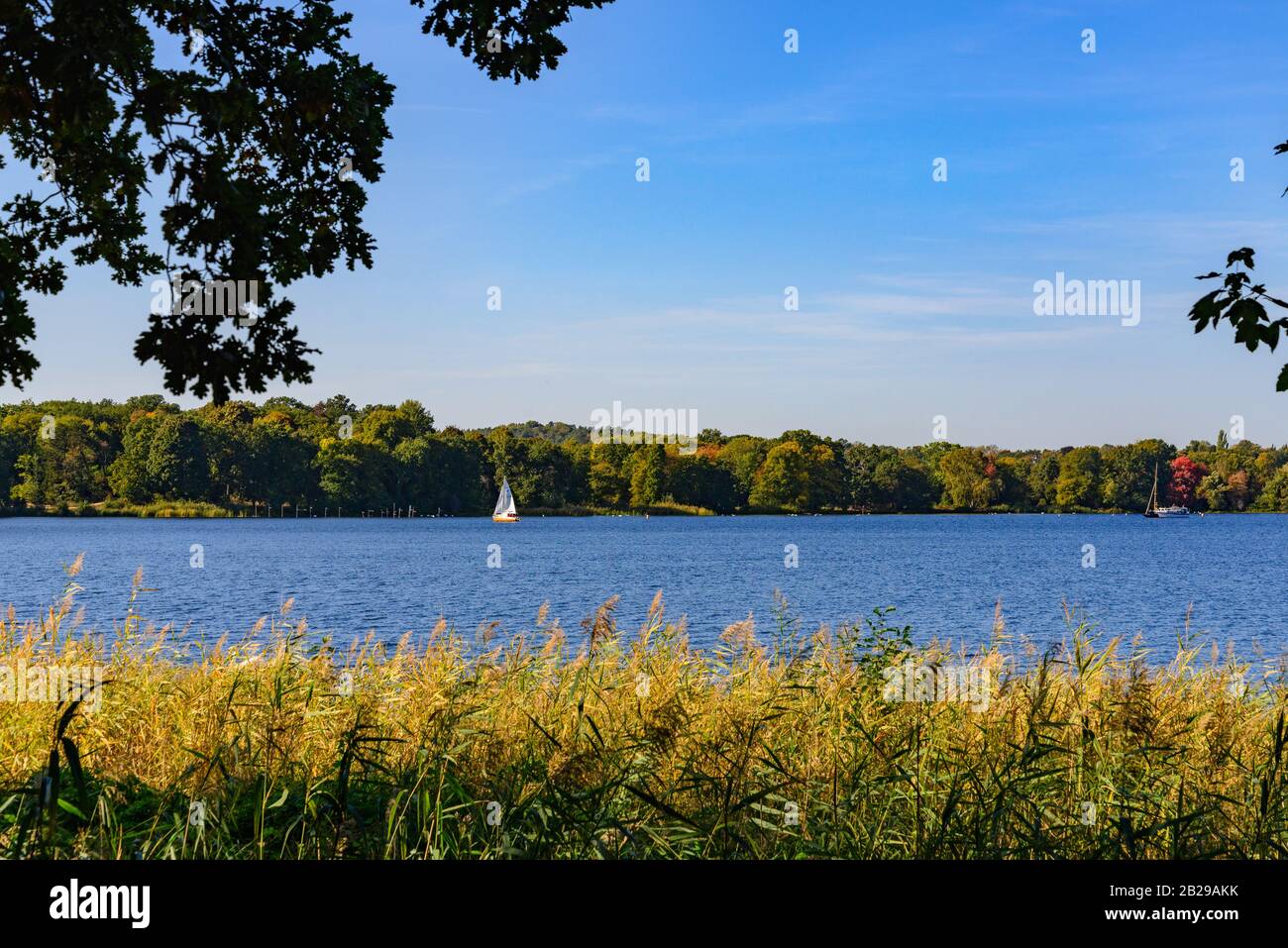 Natural landscape view of boat sail at Wannsee lake, Havel river, from ...