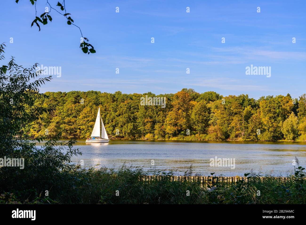 Natural landscape view of boat sail at Wannsee lake, Havel river, from ...